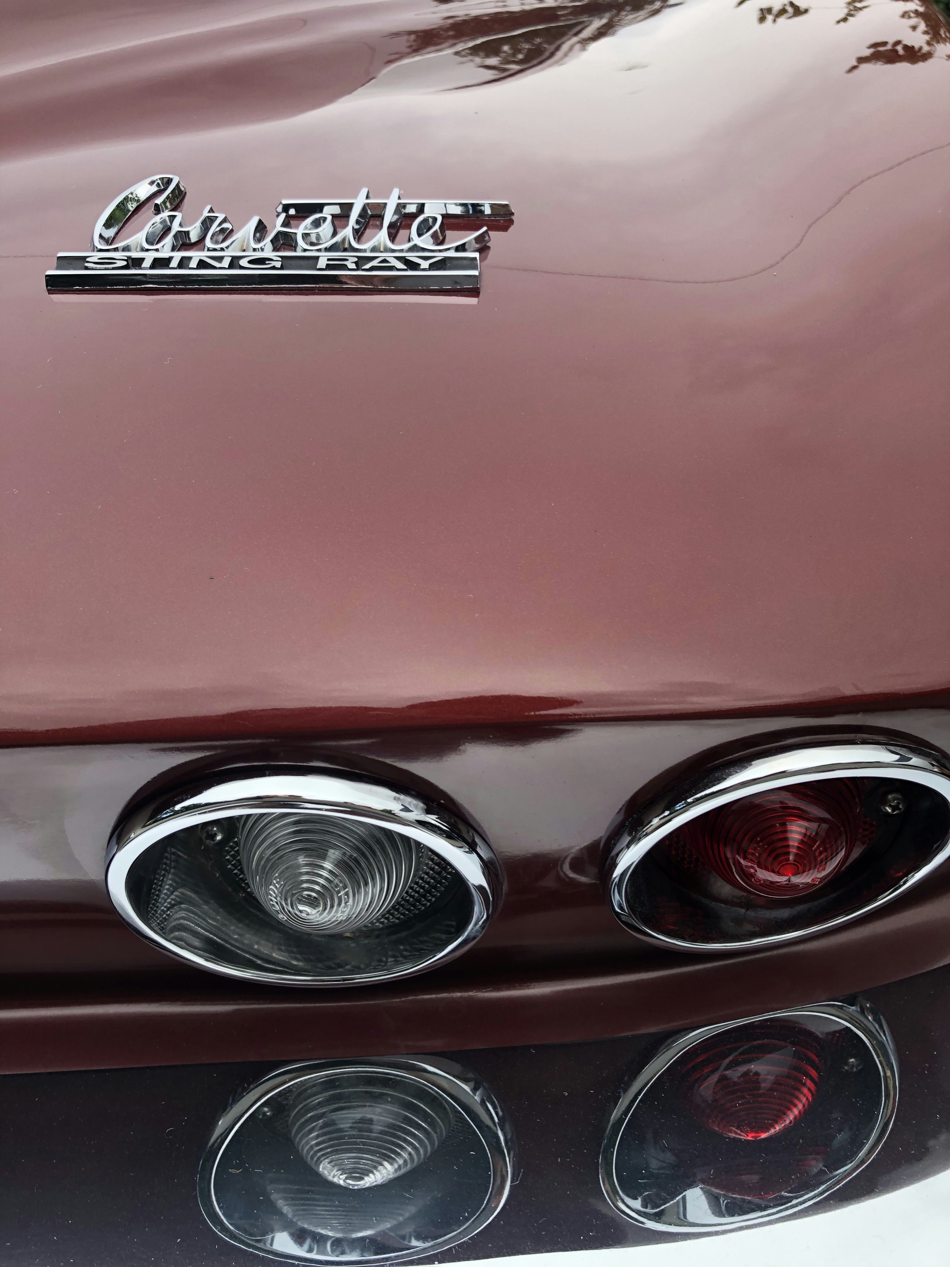 Close-up of a Corvette Sting Ray's rear detailing, showcasing its chrome emblem and distinctive tail lights. The reflection adds depth to the sleek design.