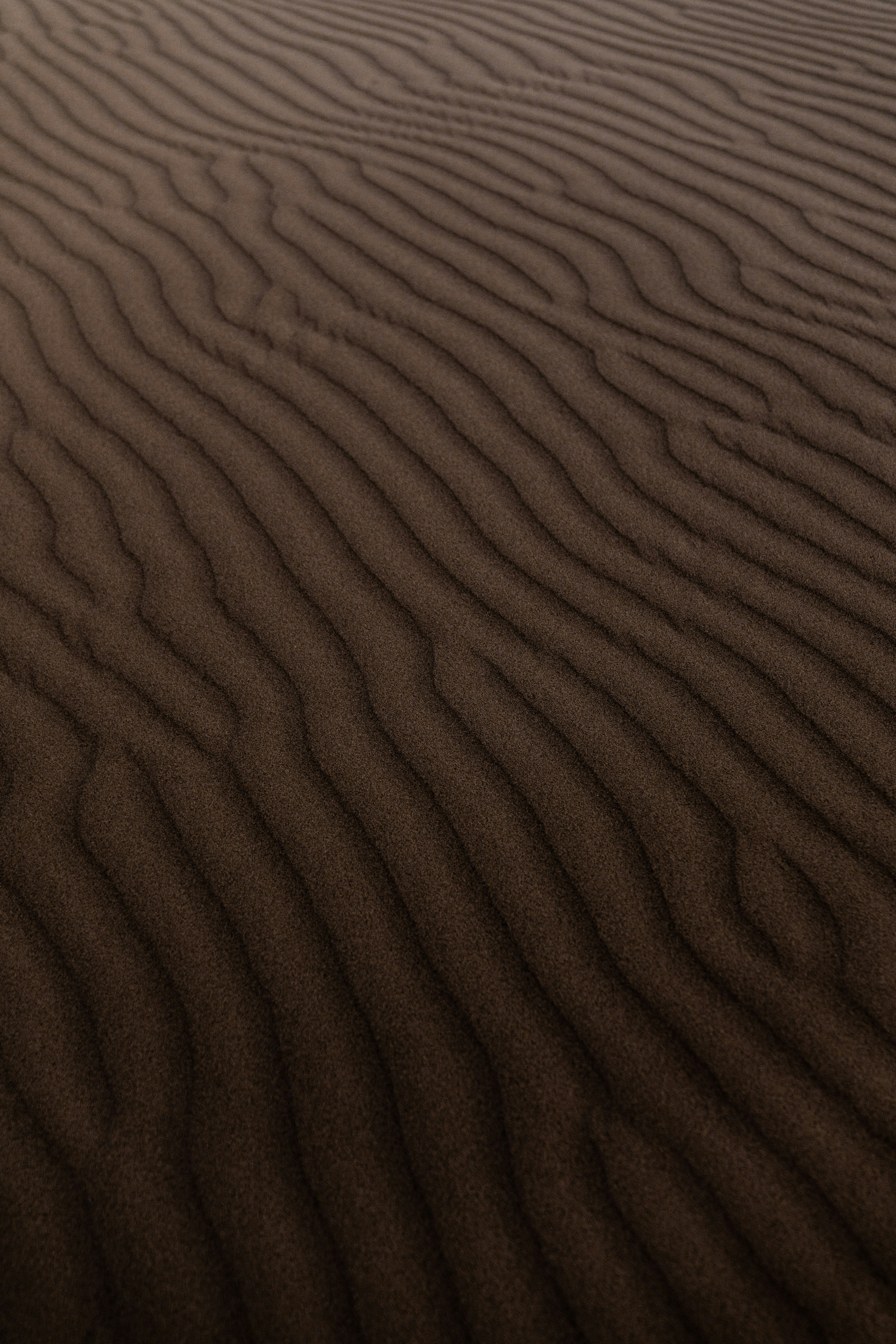 Flowing patterns of sand ripples create a mesmerizing texture across the desert landscape.