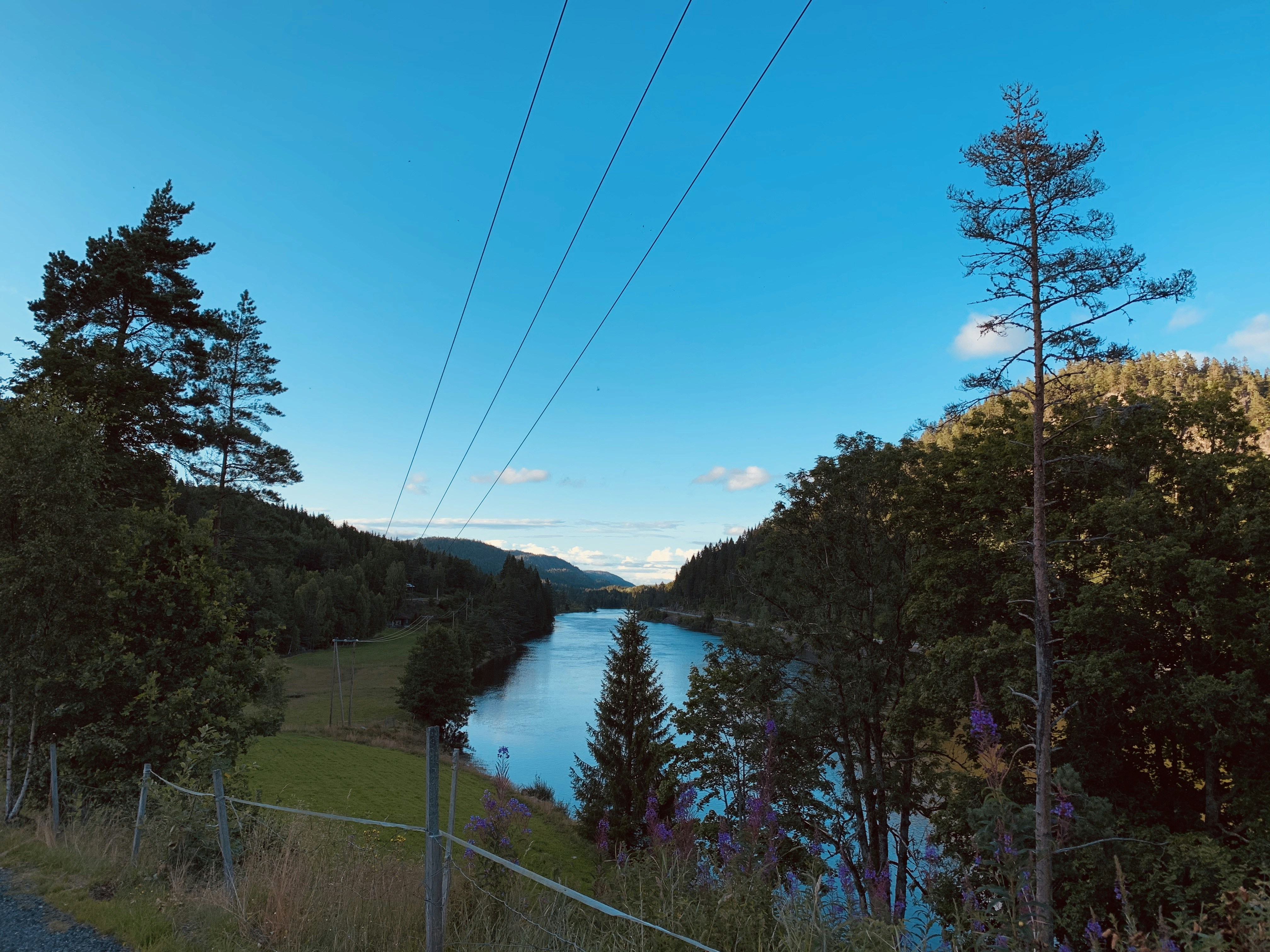 Valley Currents: A Riverside Corridor Framed by Pines and Power Lines