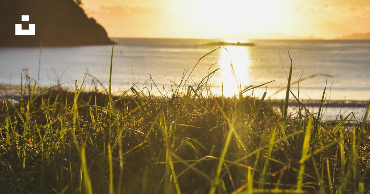 Green Grass Near Body Of Water During Daytime Photo Free Sunset Image