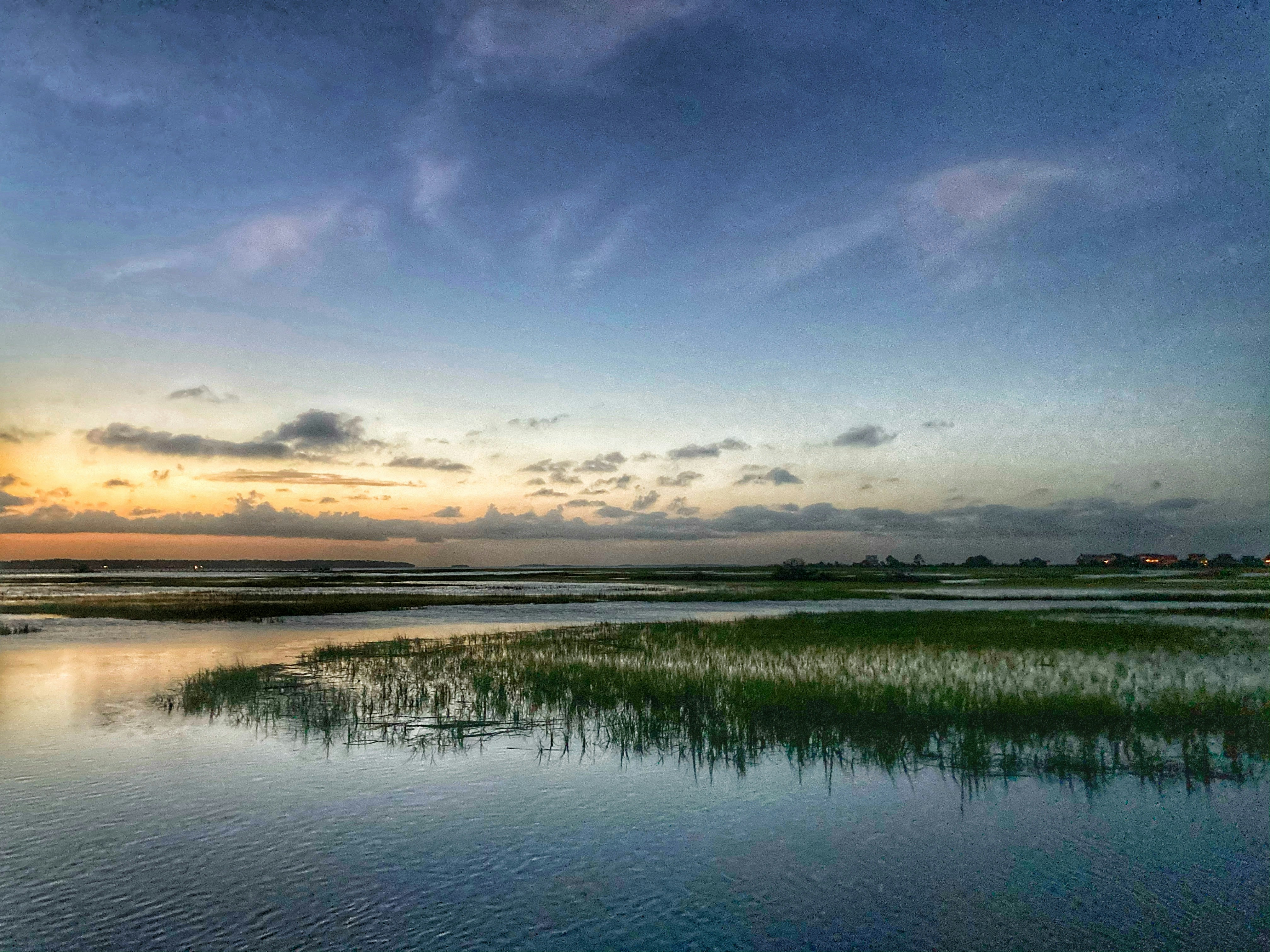 green grass field near body of water under blue sky during daytime