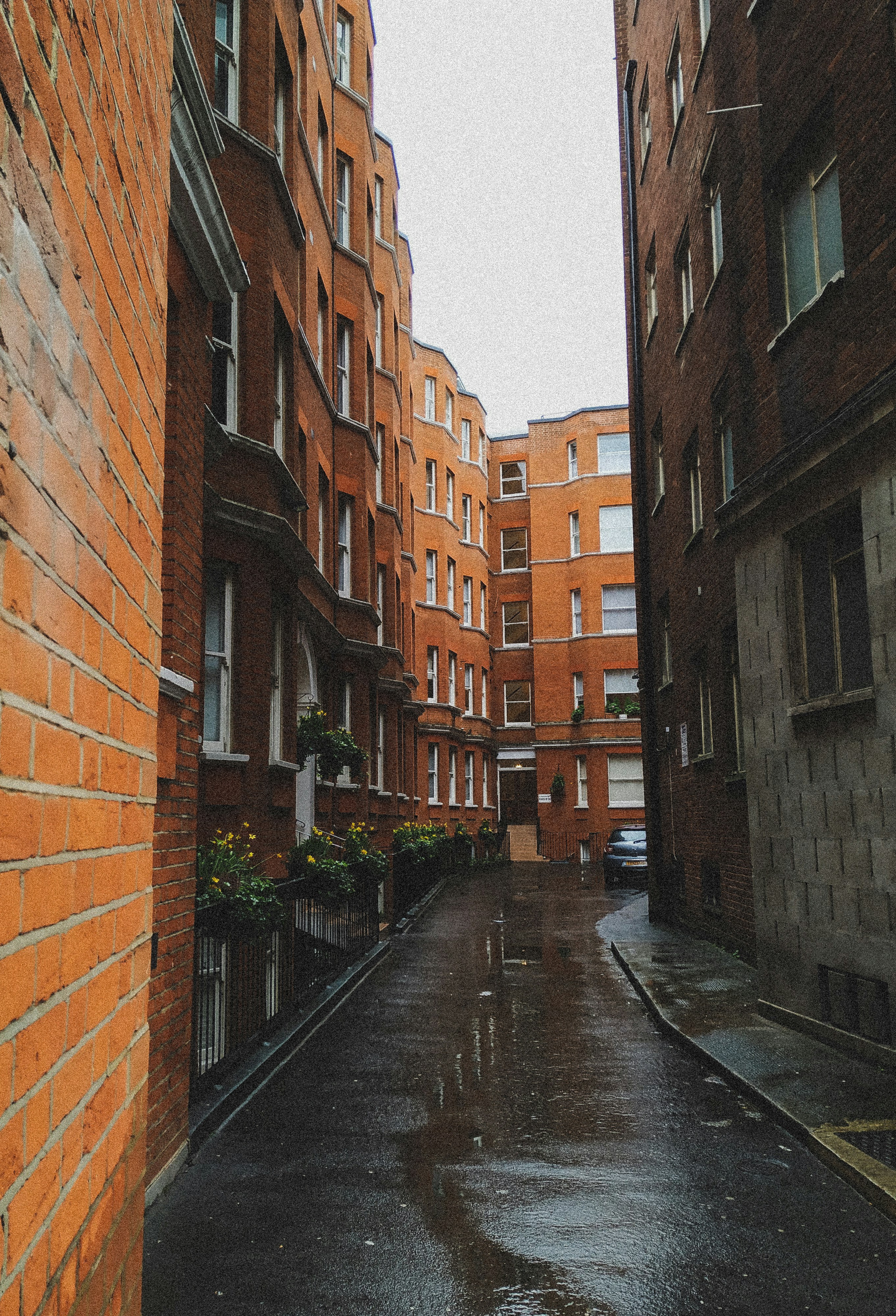 Narrow alleyway flanked by red brick buildings, reflecting puddles on the wet pavement. A parked car and flower pots add charm to this urban scene.