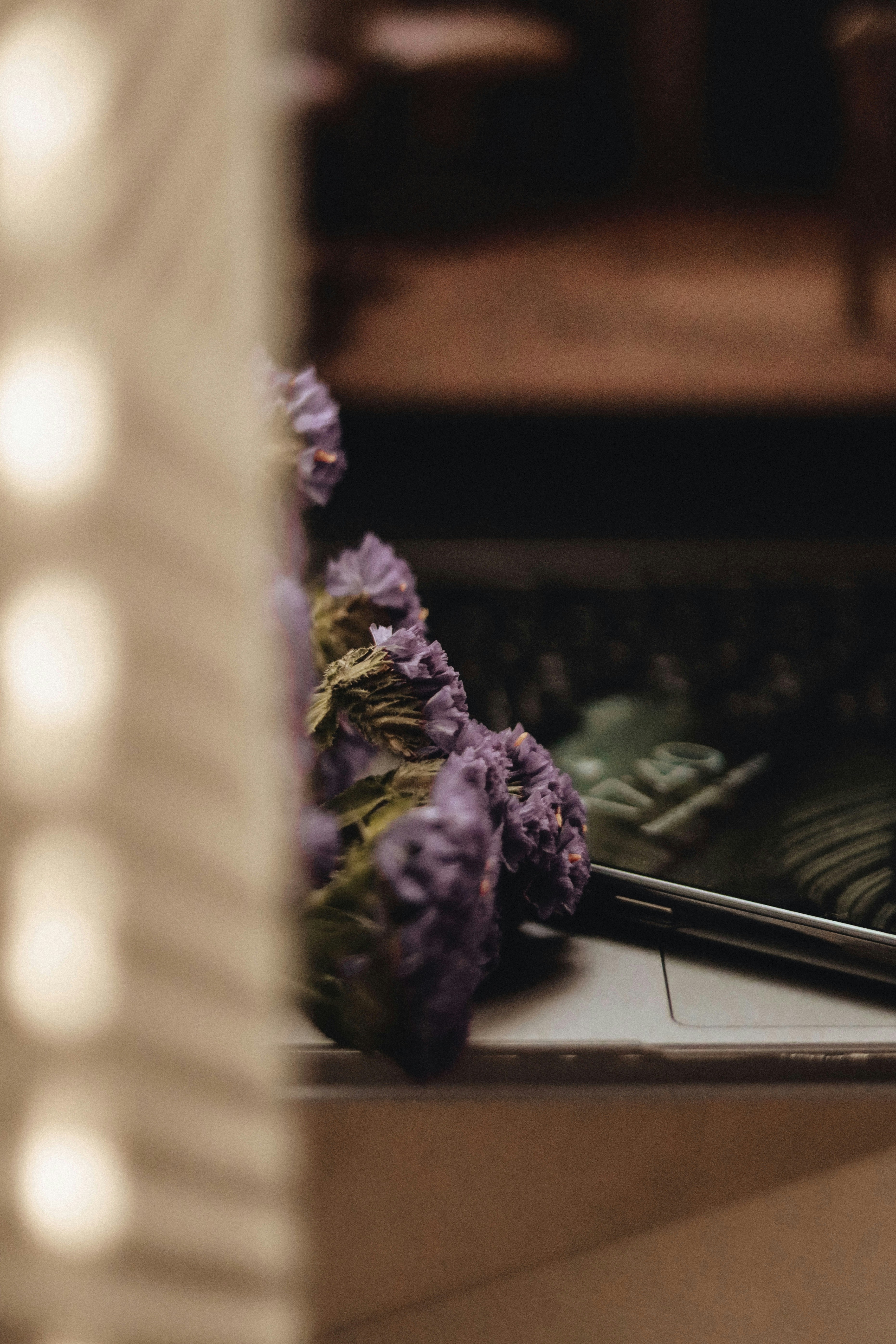 Lavender Bloom by the Laptop Screen