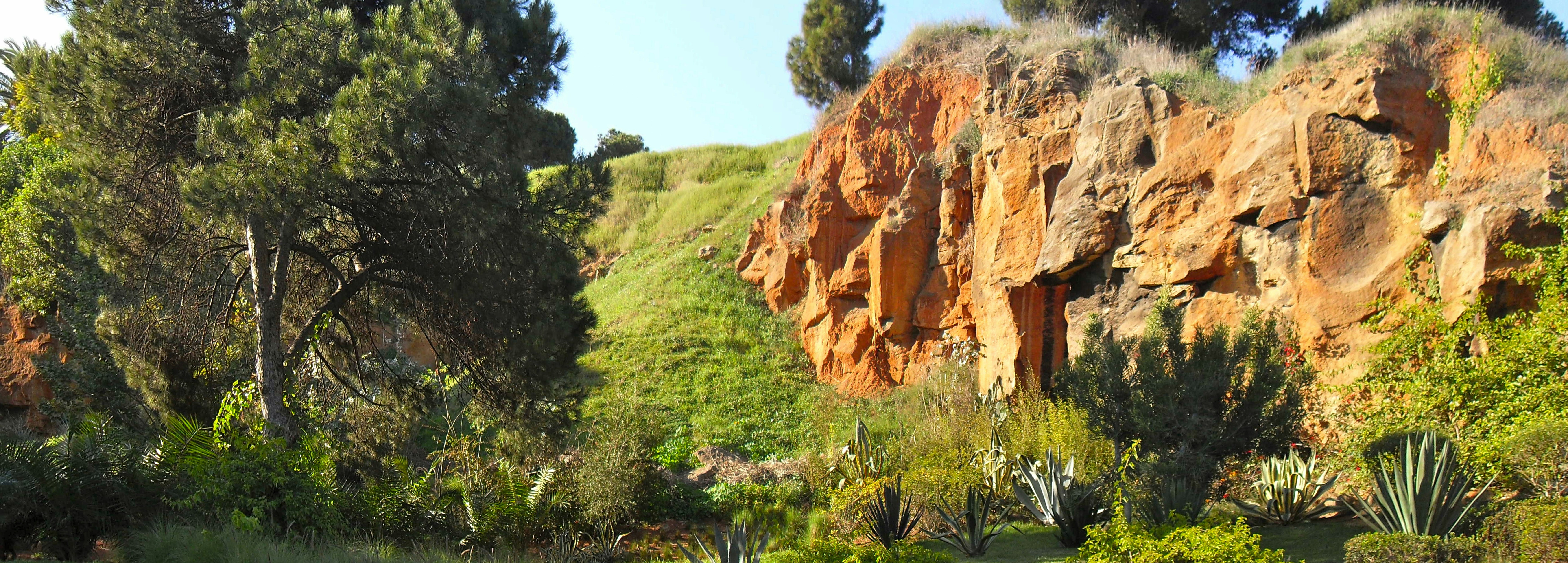 Public Garden in Salé