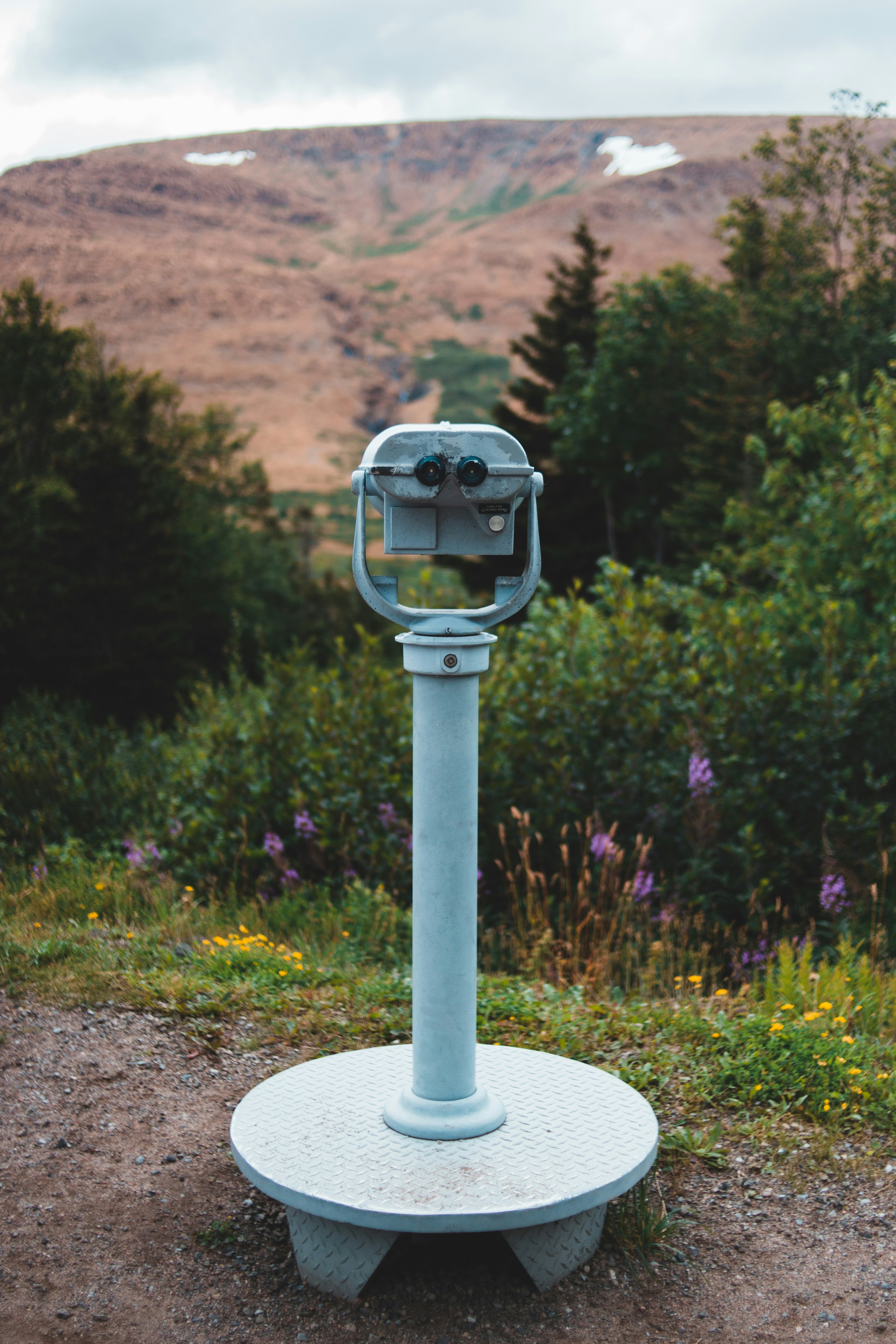 Scope of Viewfinder: Mountain Vista Coincides with a Public Telescope