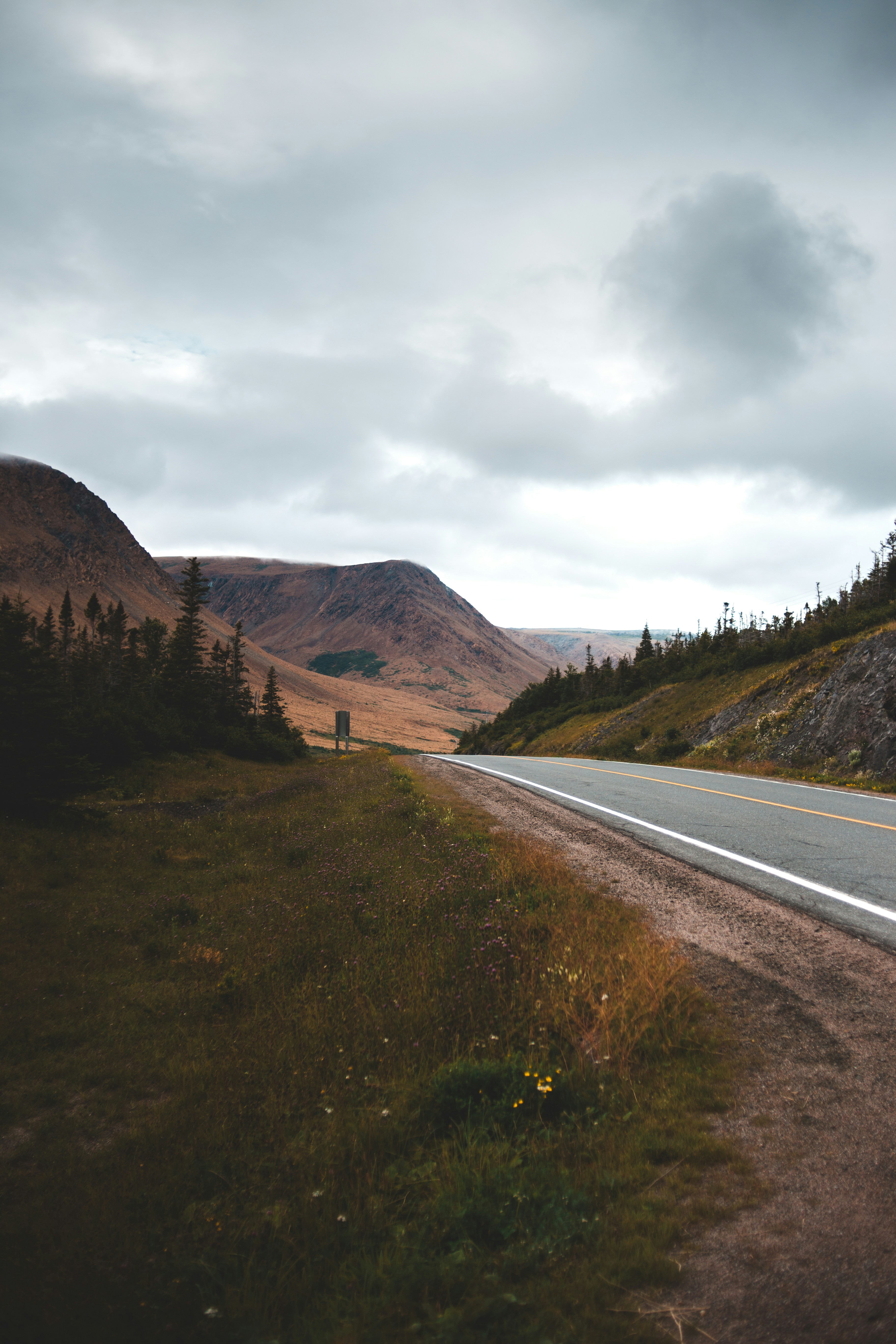 Gray asphalt road between green grass field during daytime photo – Free Road Image on Unsplash