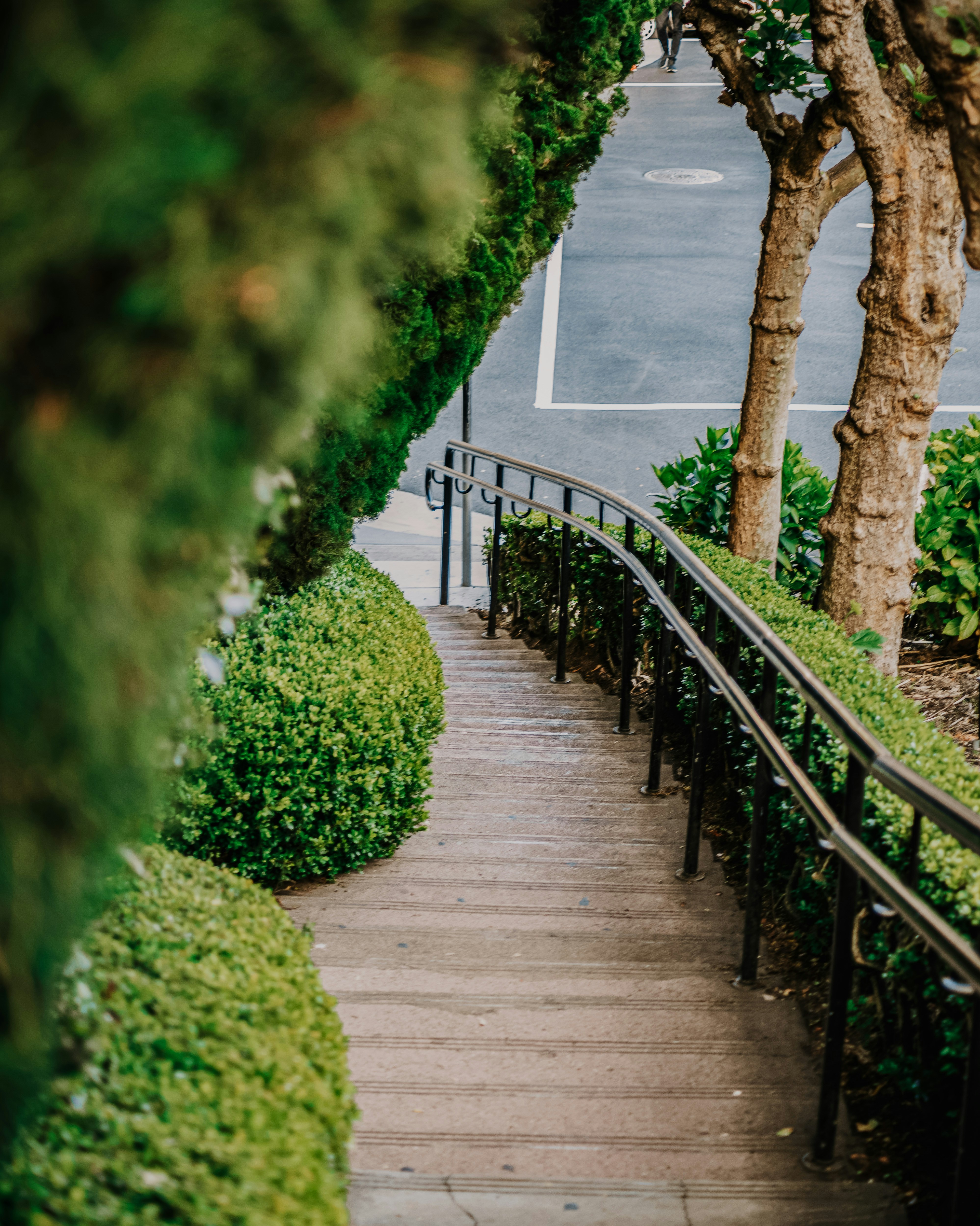 Wooden steps lead down through neatly trimmed hedges, framed by trees, creating a serene pathway. The background hints at a parking area, subtly blending nature with urban life.