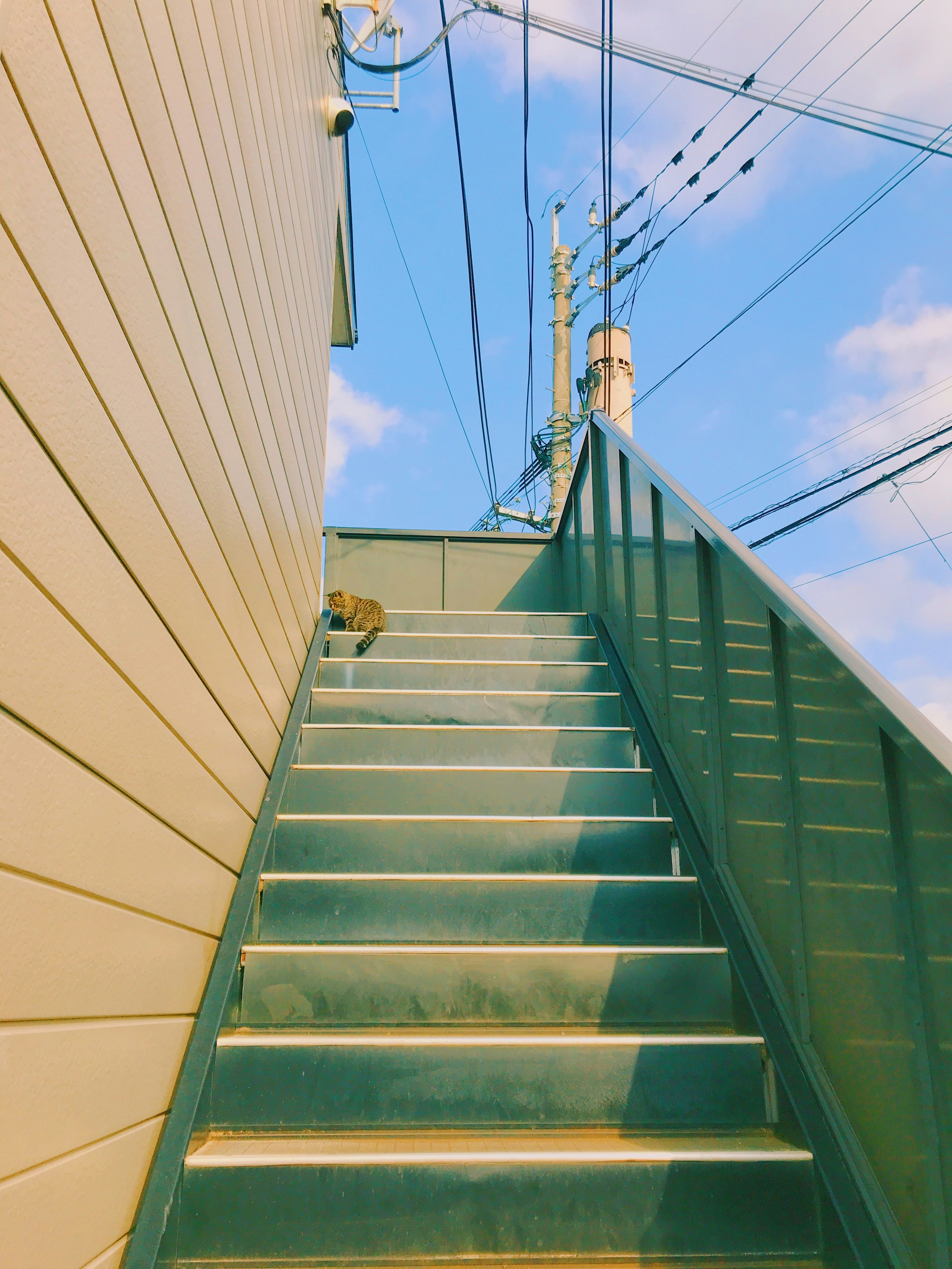 Man in black jacket and blue denim jeans walking down the stairs photo ...
