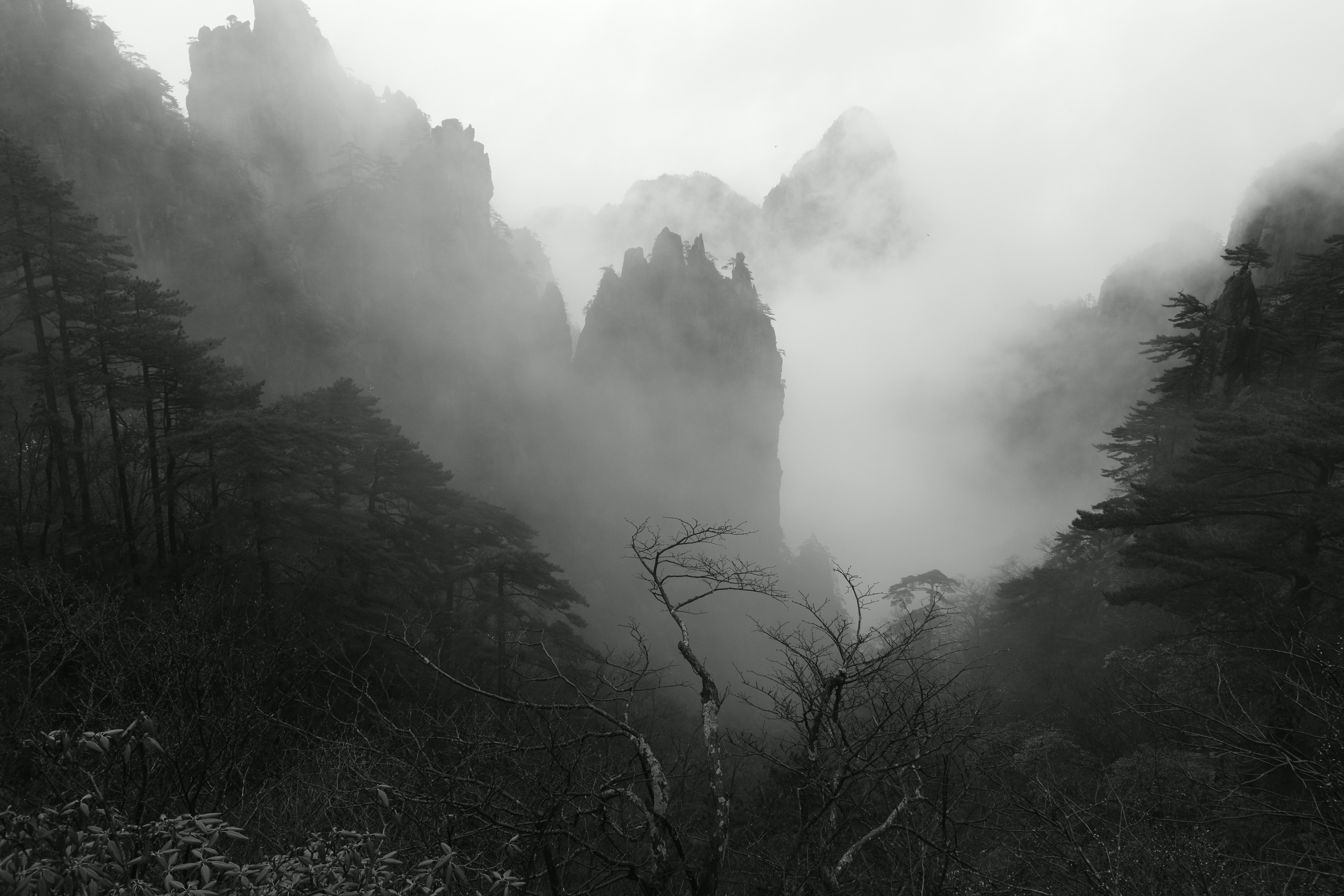 Misty Cliffs: Silent Peaks Emerged from the Fog