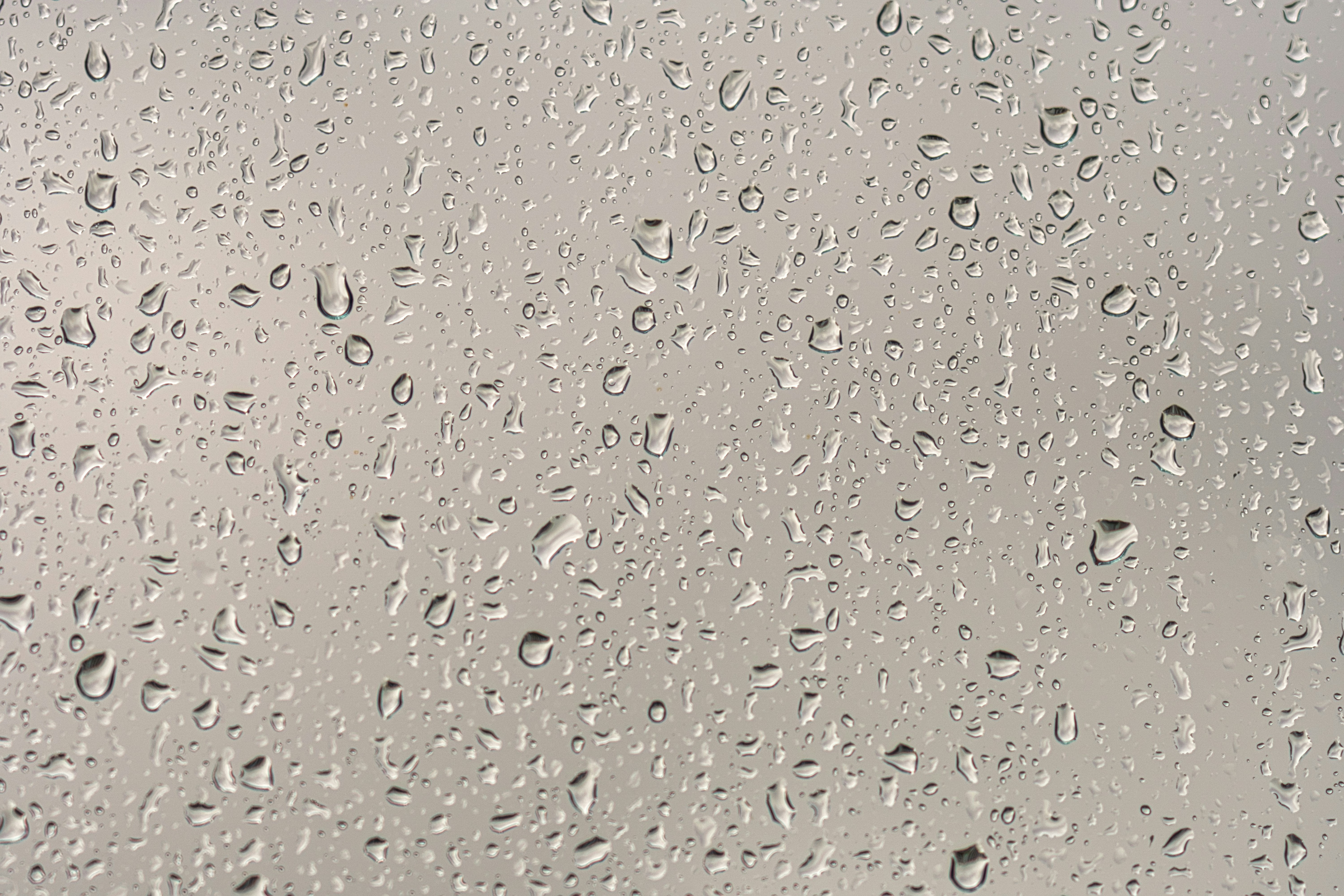 What Are Soapy Rain Drops Pictures | Download Free Images on Unsplash