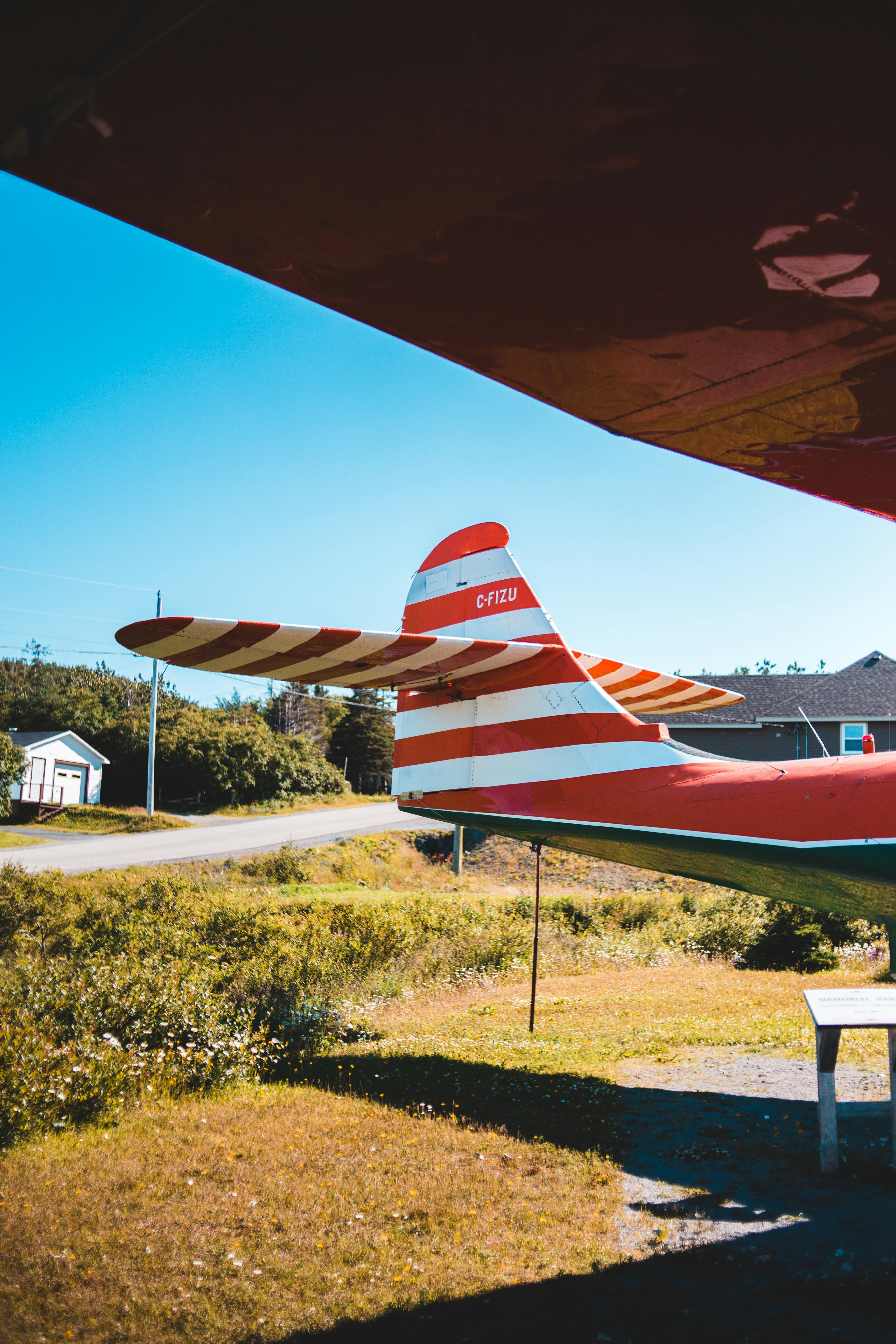Tail of Red and White Wings Over an Open Field
