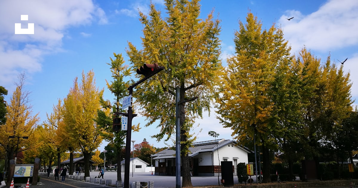 昼間の青空の下、緑の木々の近くの白と黒の家の写真 Unsplashの日本の無料画像