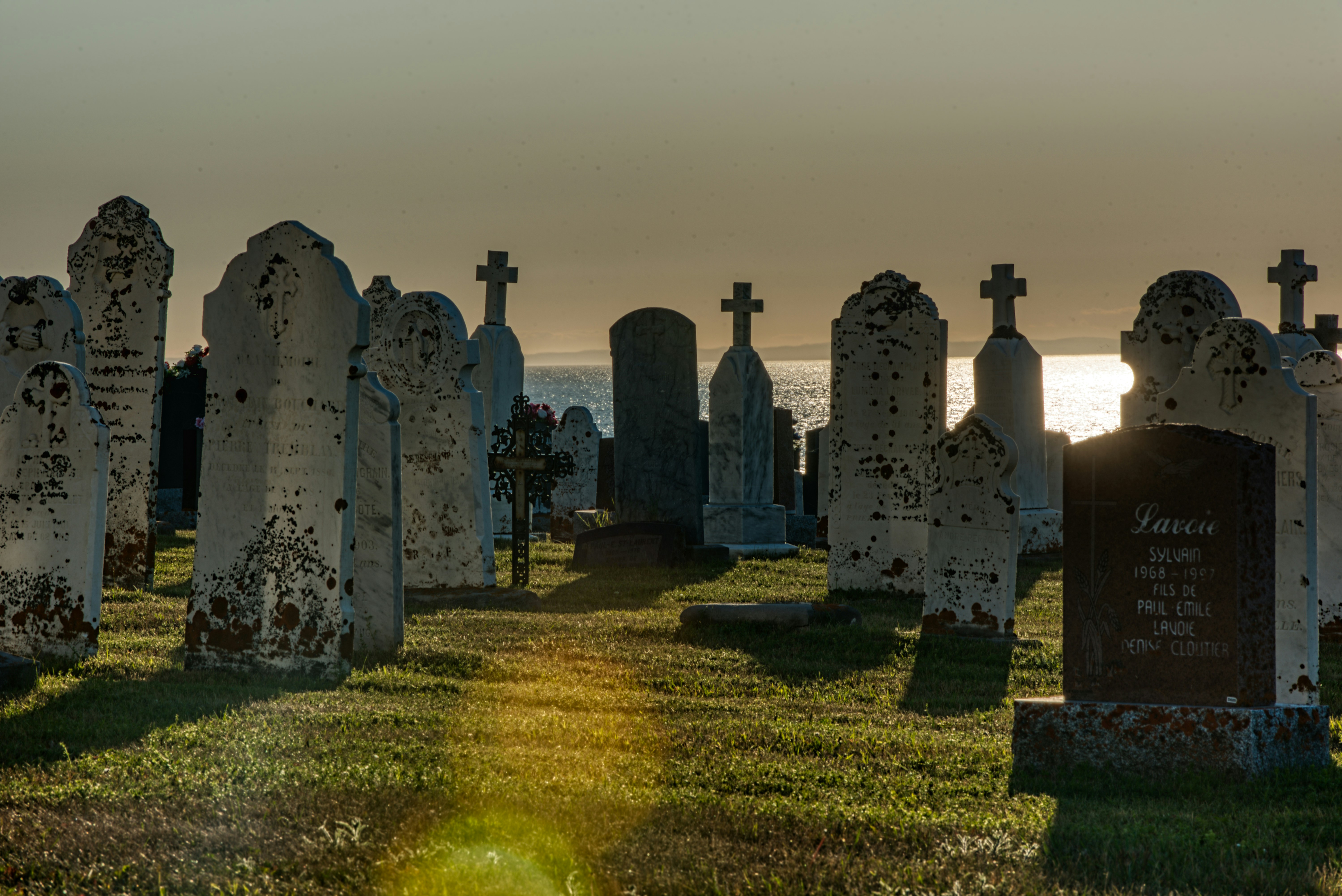 550+ Cemetery Pictures | Download Free Images on Unsplash