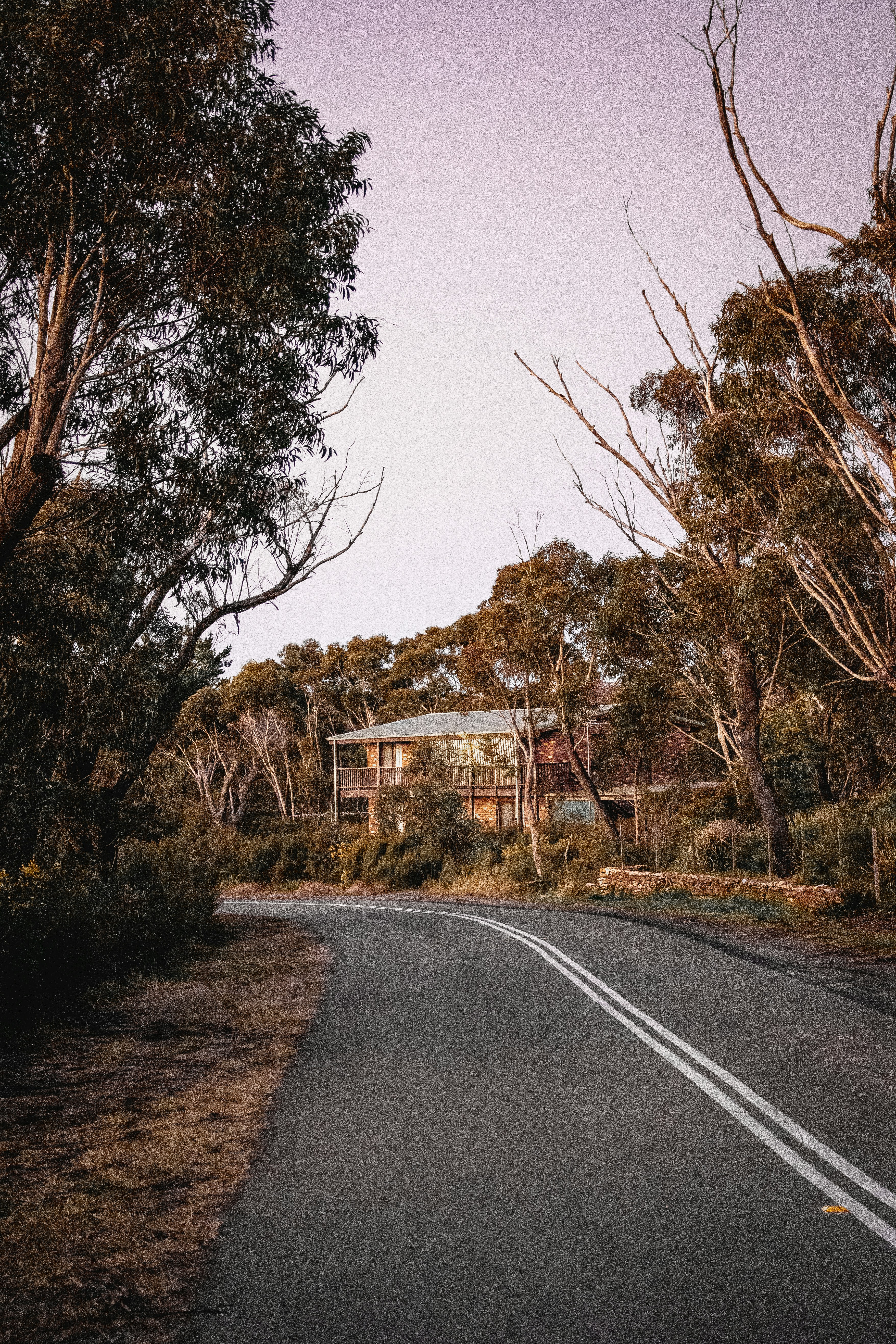 Dusty Road to a Quiet House