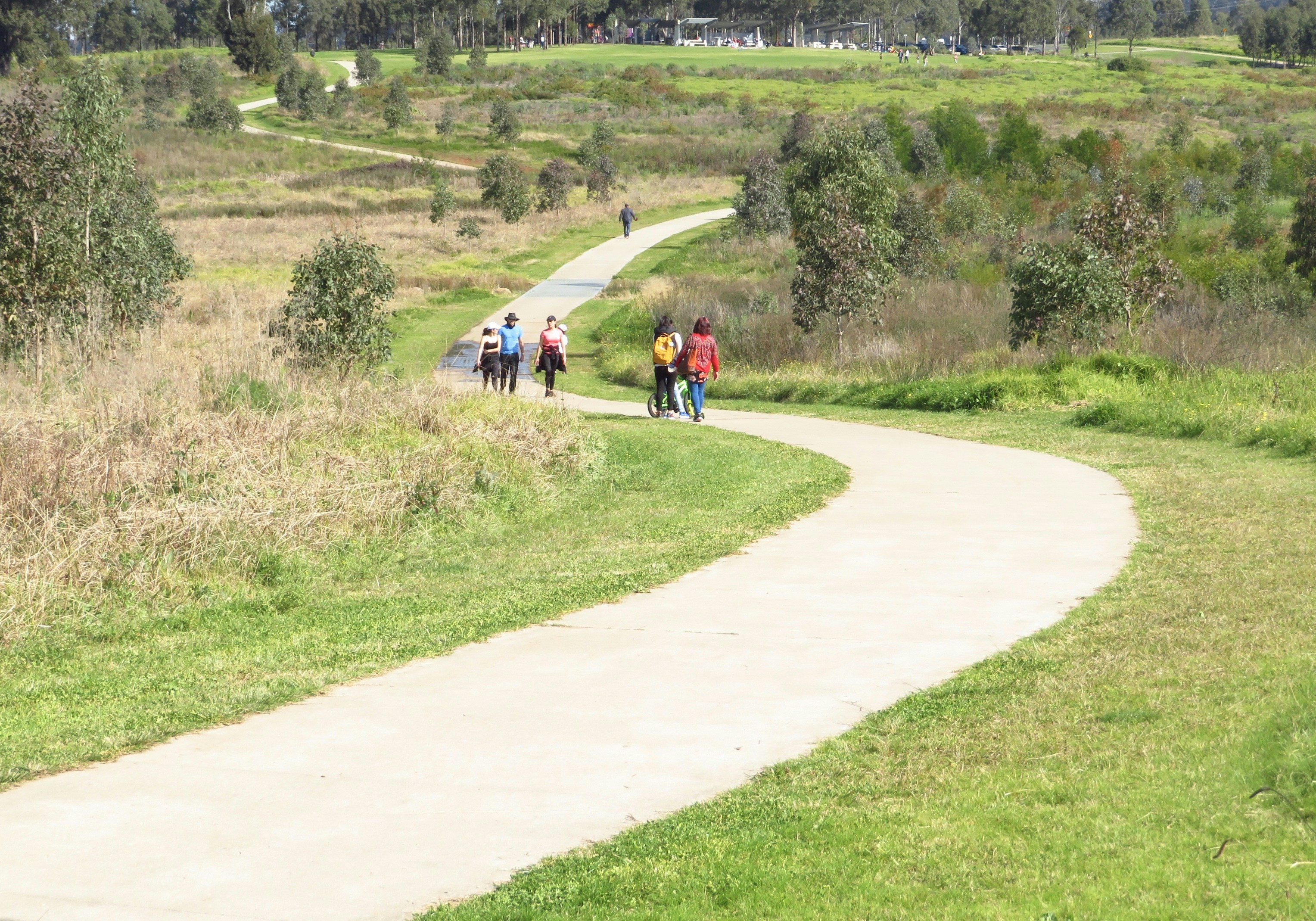 Group of people walking along a winding path in a lush green landscape with scattered trees. The scene captures the essence of outdoor leisure.