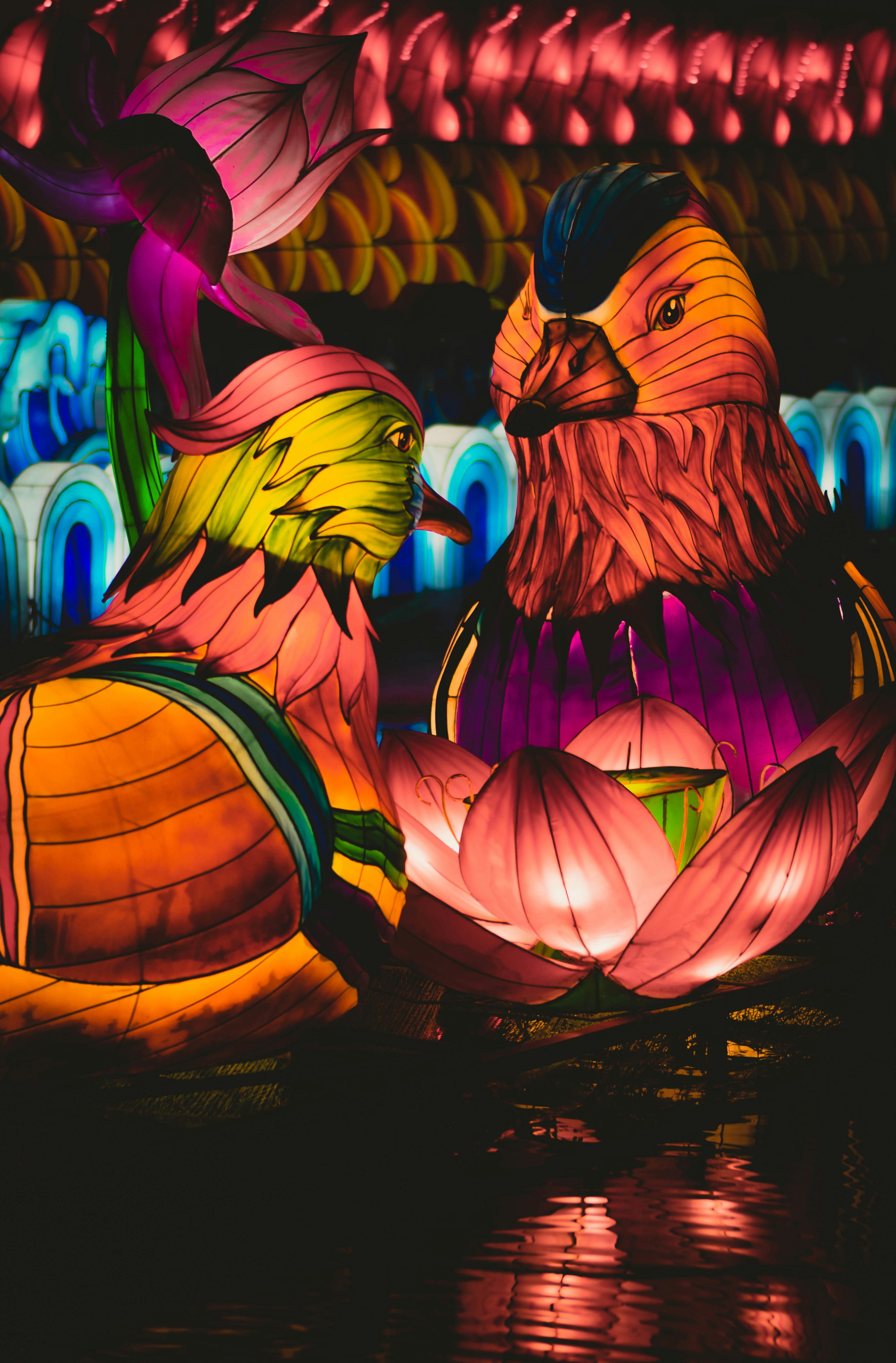 Neon Plumage: A Night Parade of Lantern Birds on the Water