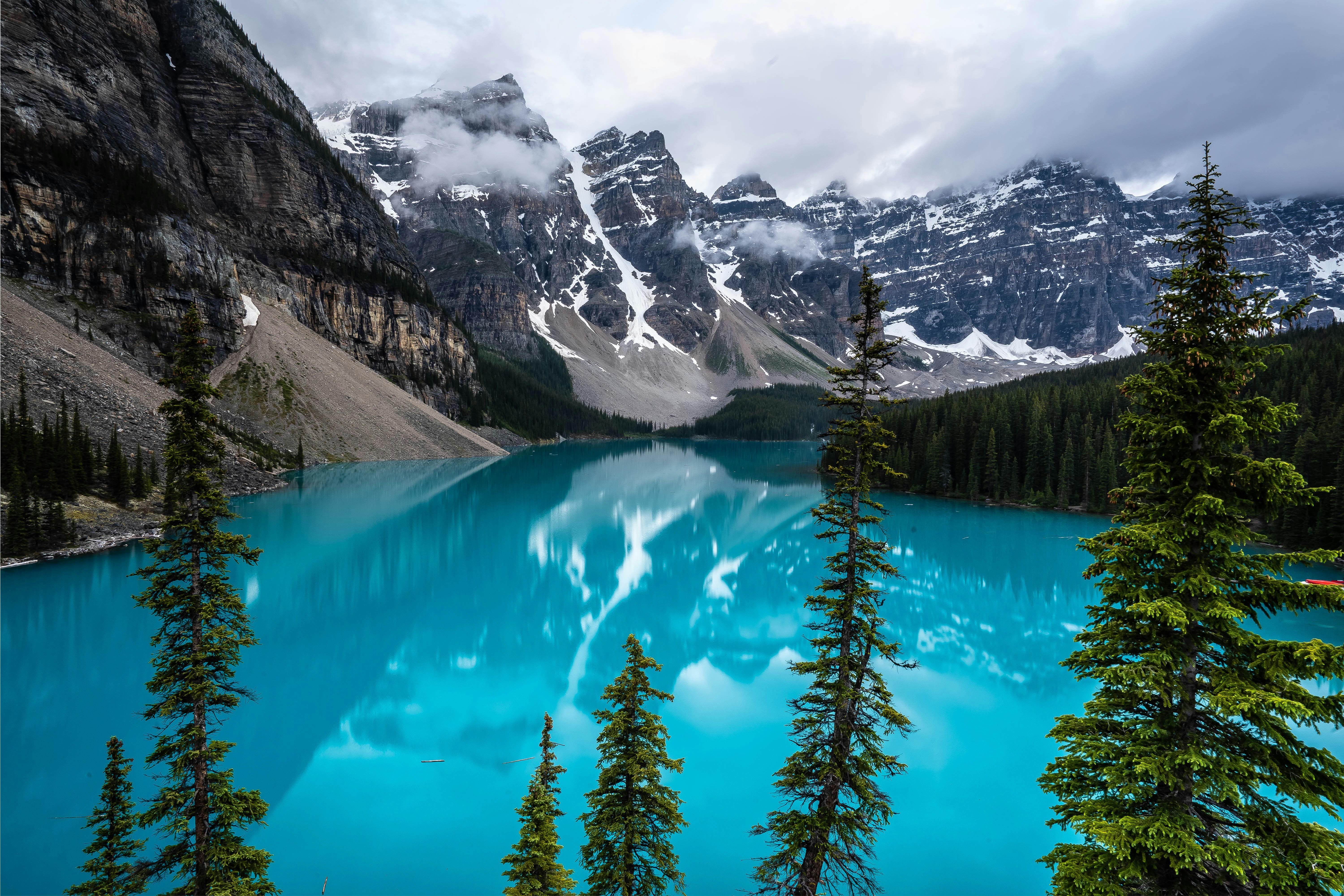 Trip through Banff and Jasper National Park in Canada, summer 2019. | green pine trees near snow covered mountain during daytime