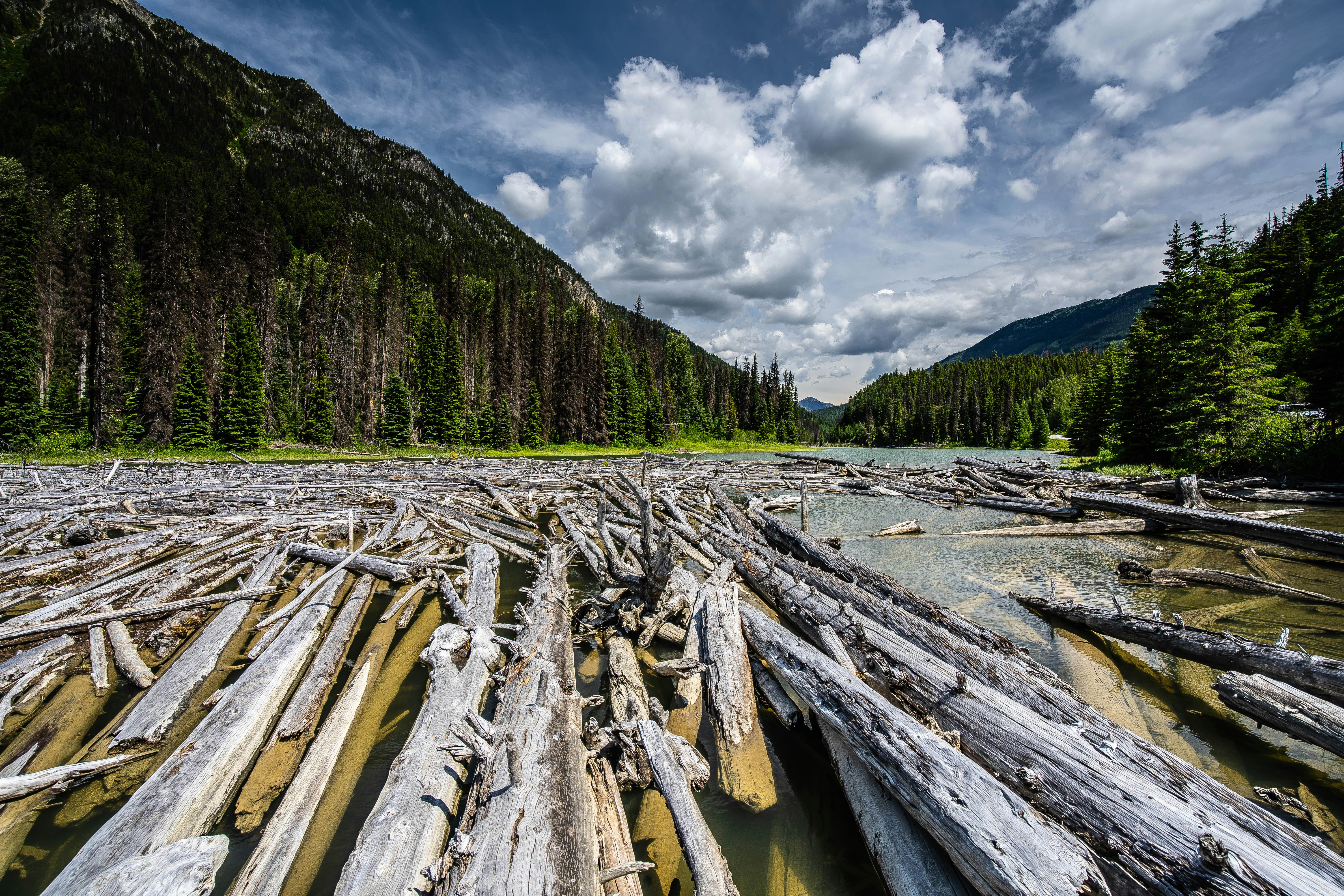 Driftwood Channel through a Alpine River Gorge