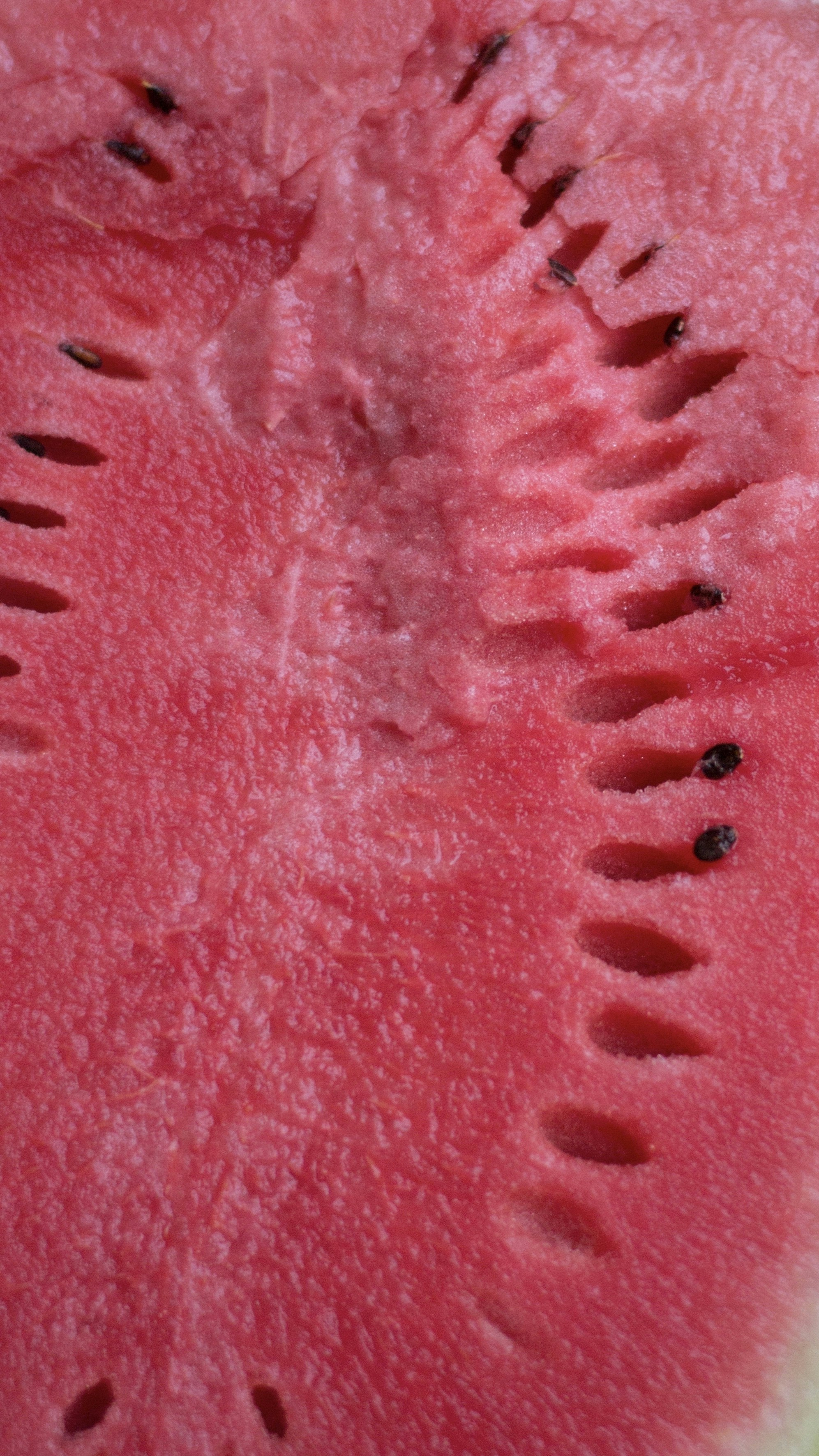 Close-up of a ripe watermelon slice showcasing its vibrant pink flesh and scattered black seeds.
