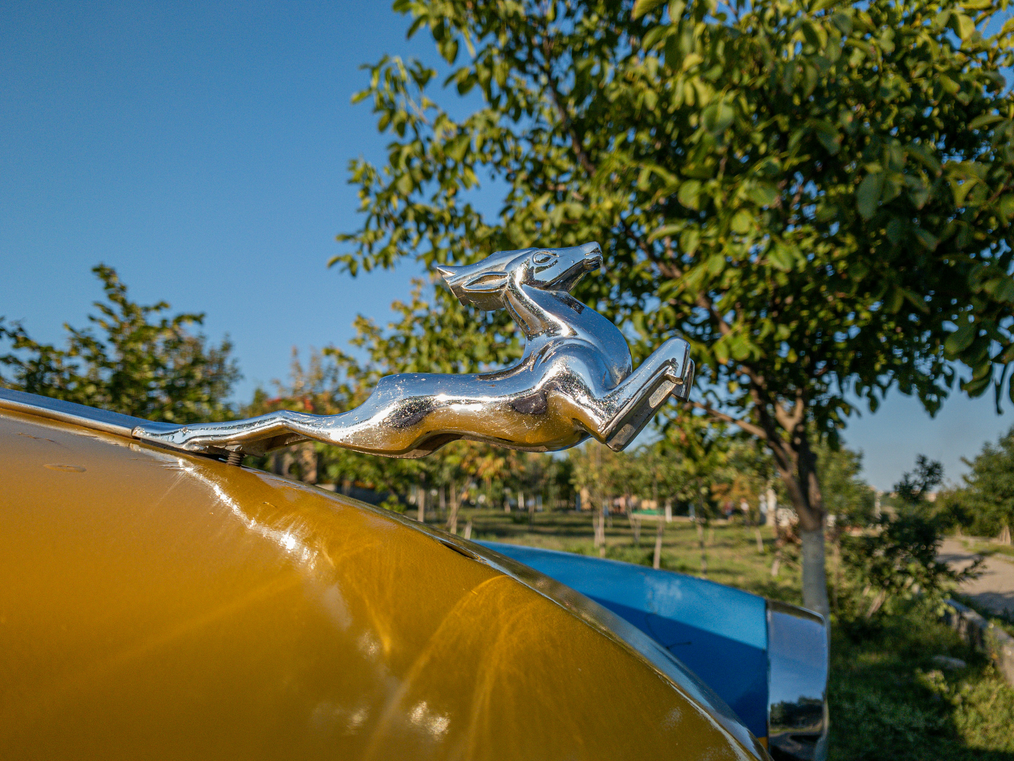 yellow and blue car roof