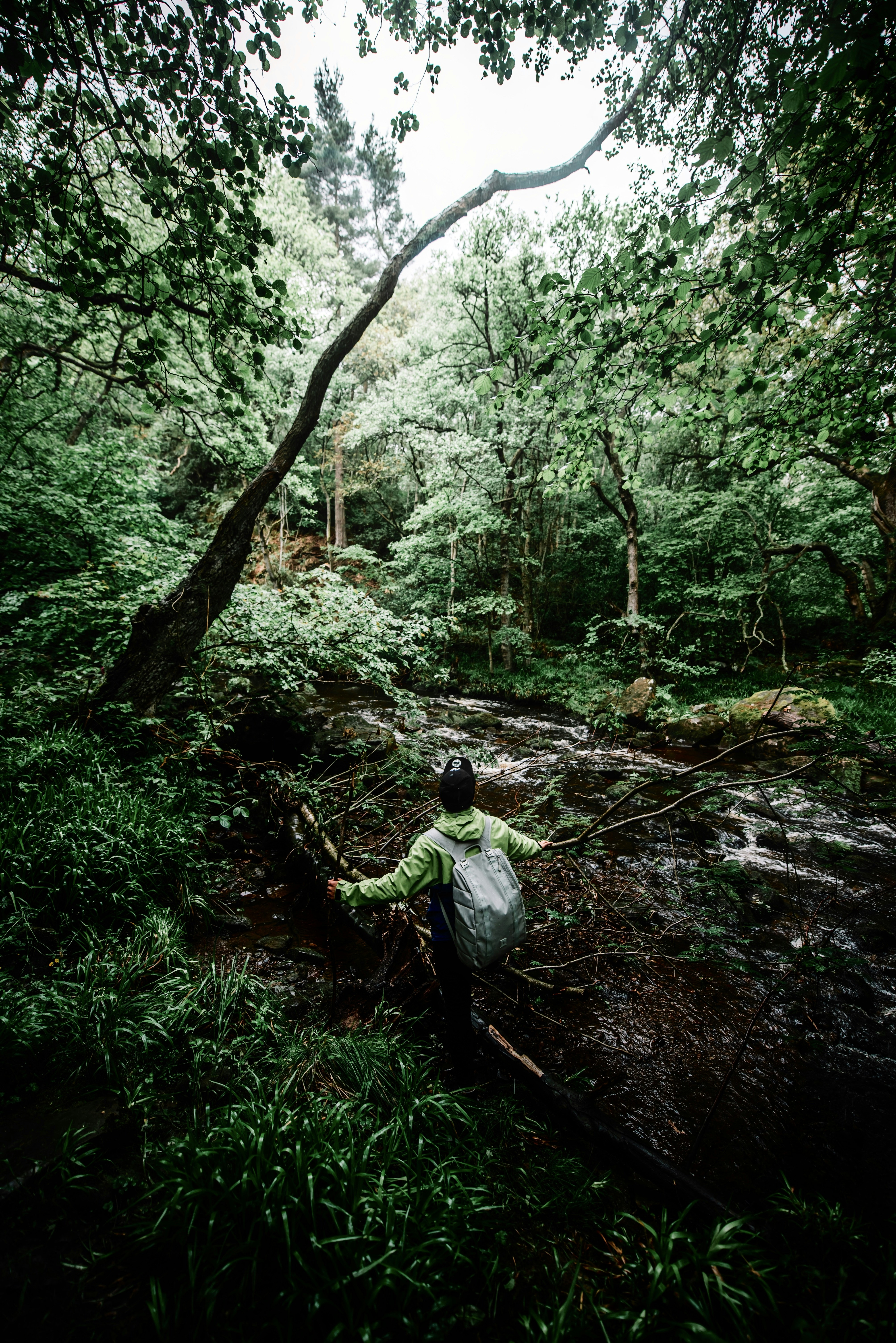 Green Corridor Crossing: A lone hiker navigates a mossy river in a dense forest