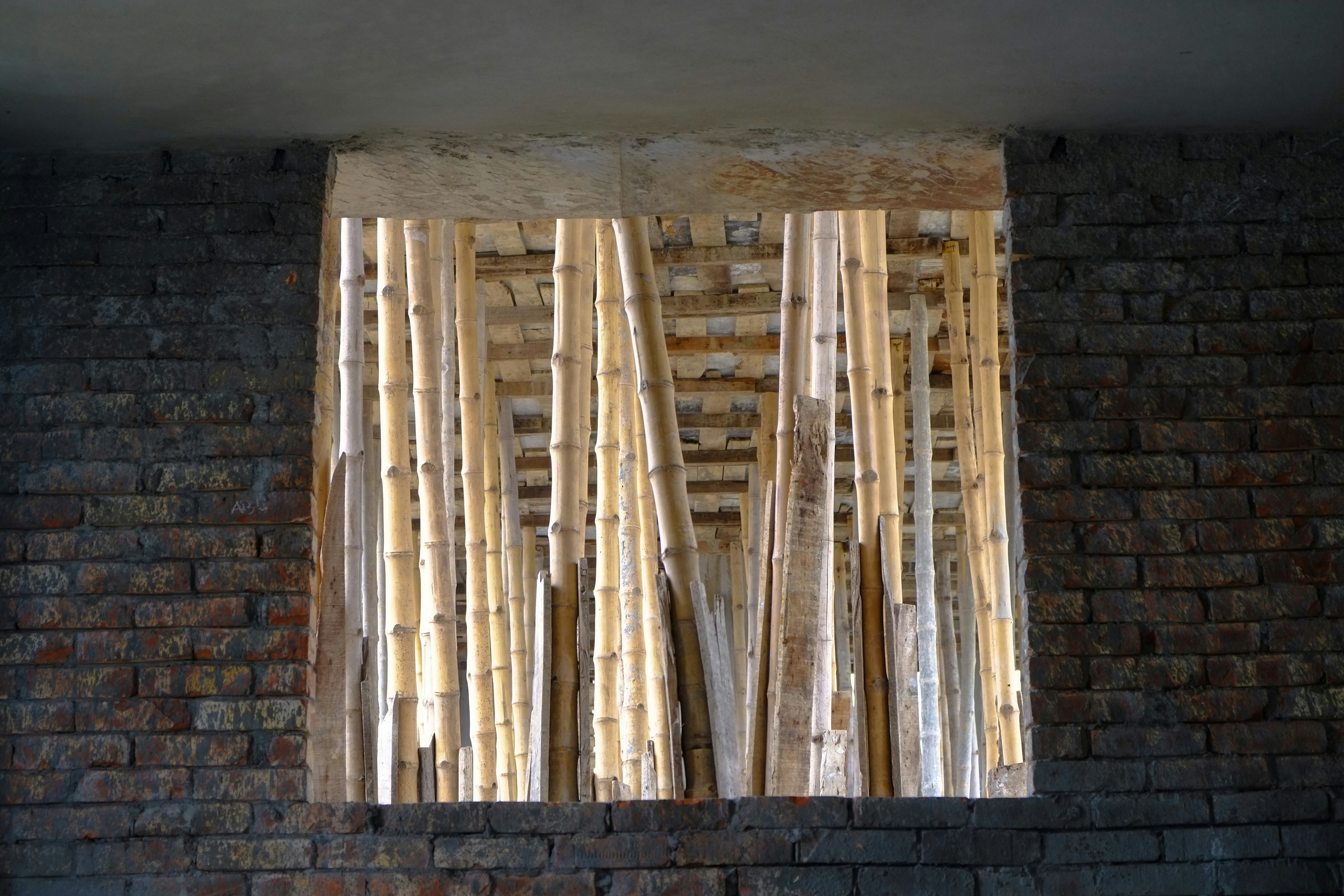 Birch Tufts Through a Brick Aperture