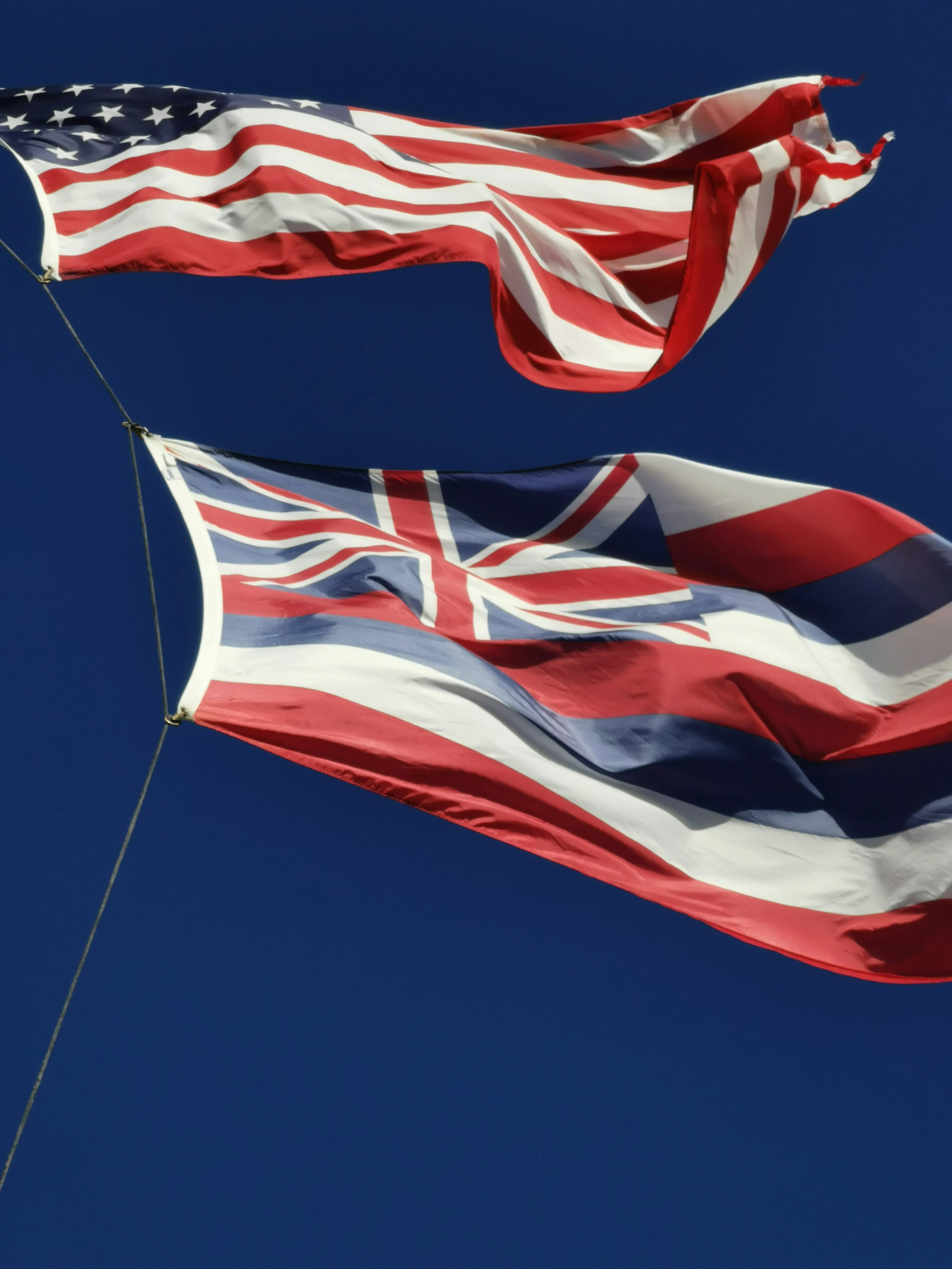 Red white and blue flag photo – Free Honolulu Image on Unsplash