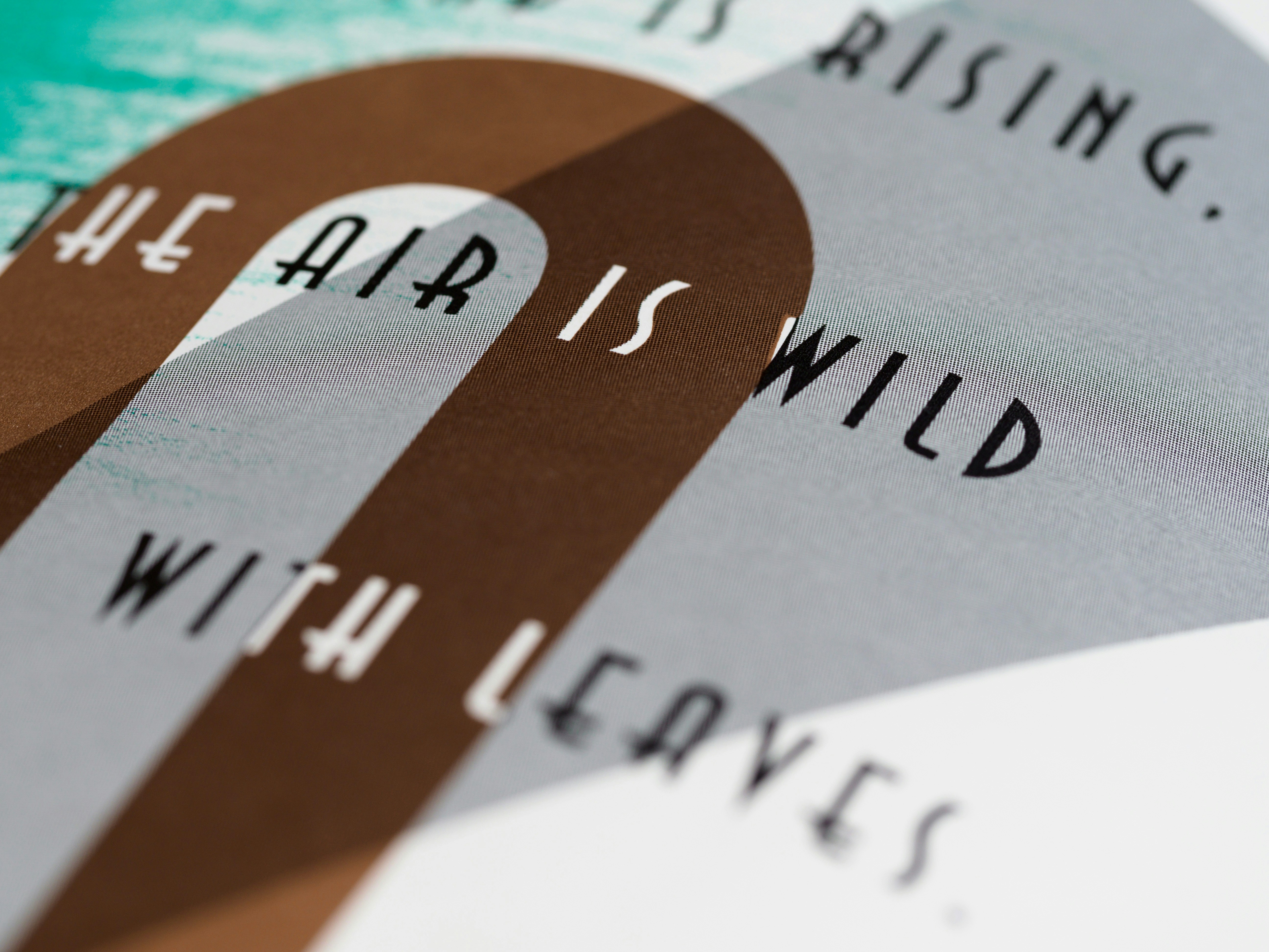 Nature Inspired Typography: Designing Letterforms Based on Organic ...
