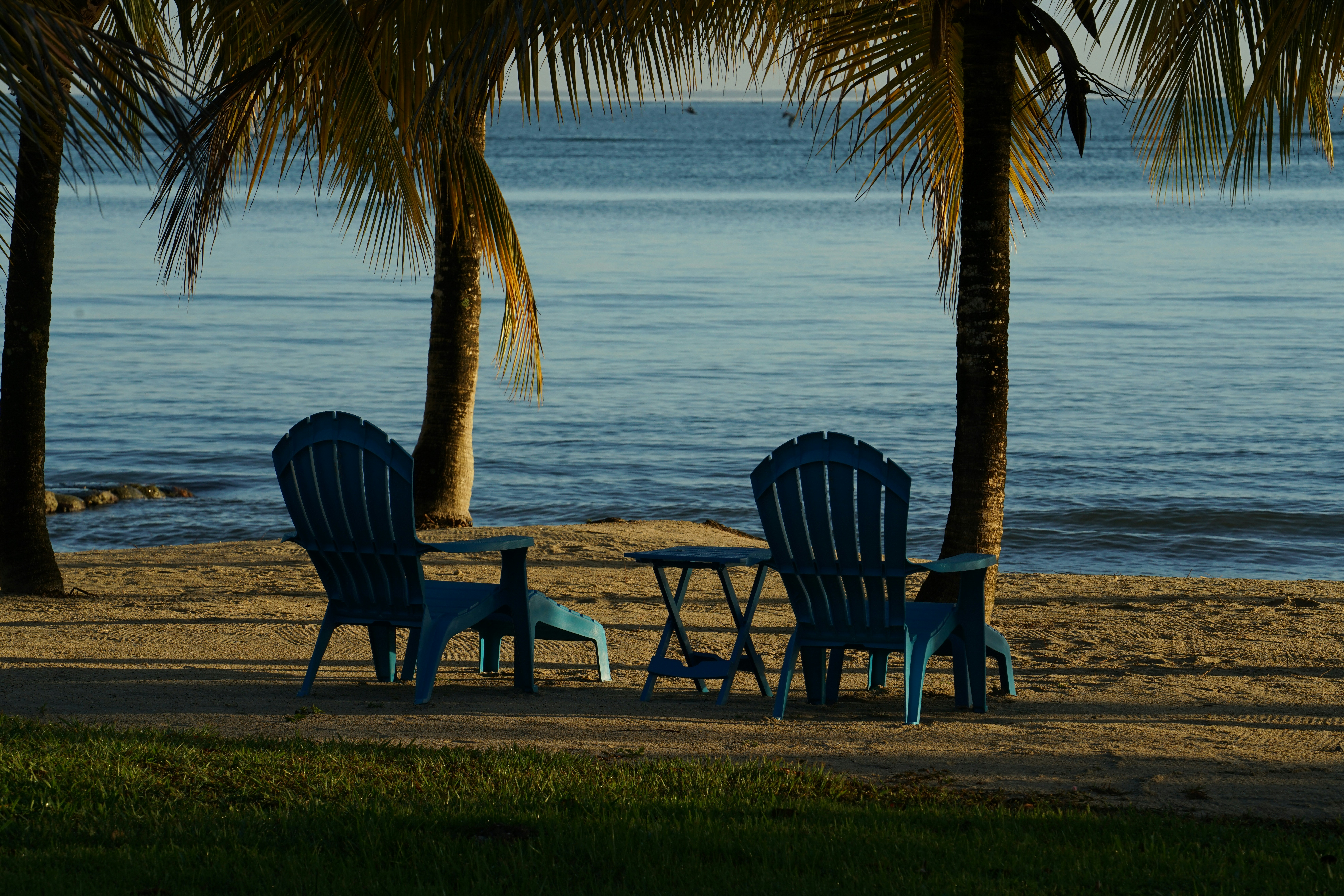 Two blue Adirondack chairs positioned on a sandy beach under palm trees, overlooking calm waters at sunrise.