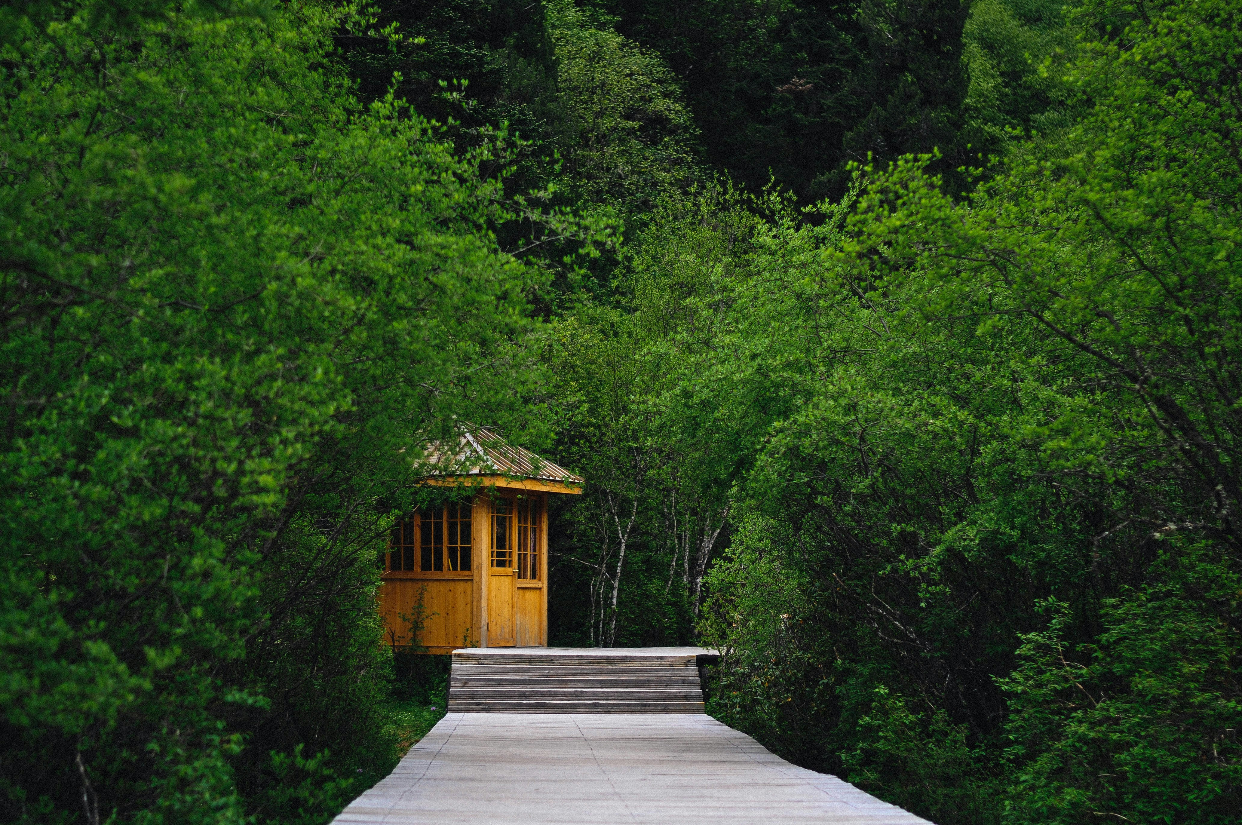 A serene wooden gazebo nestled among lush greenery, inviting moments of reflection along a winding path.