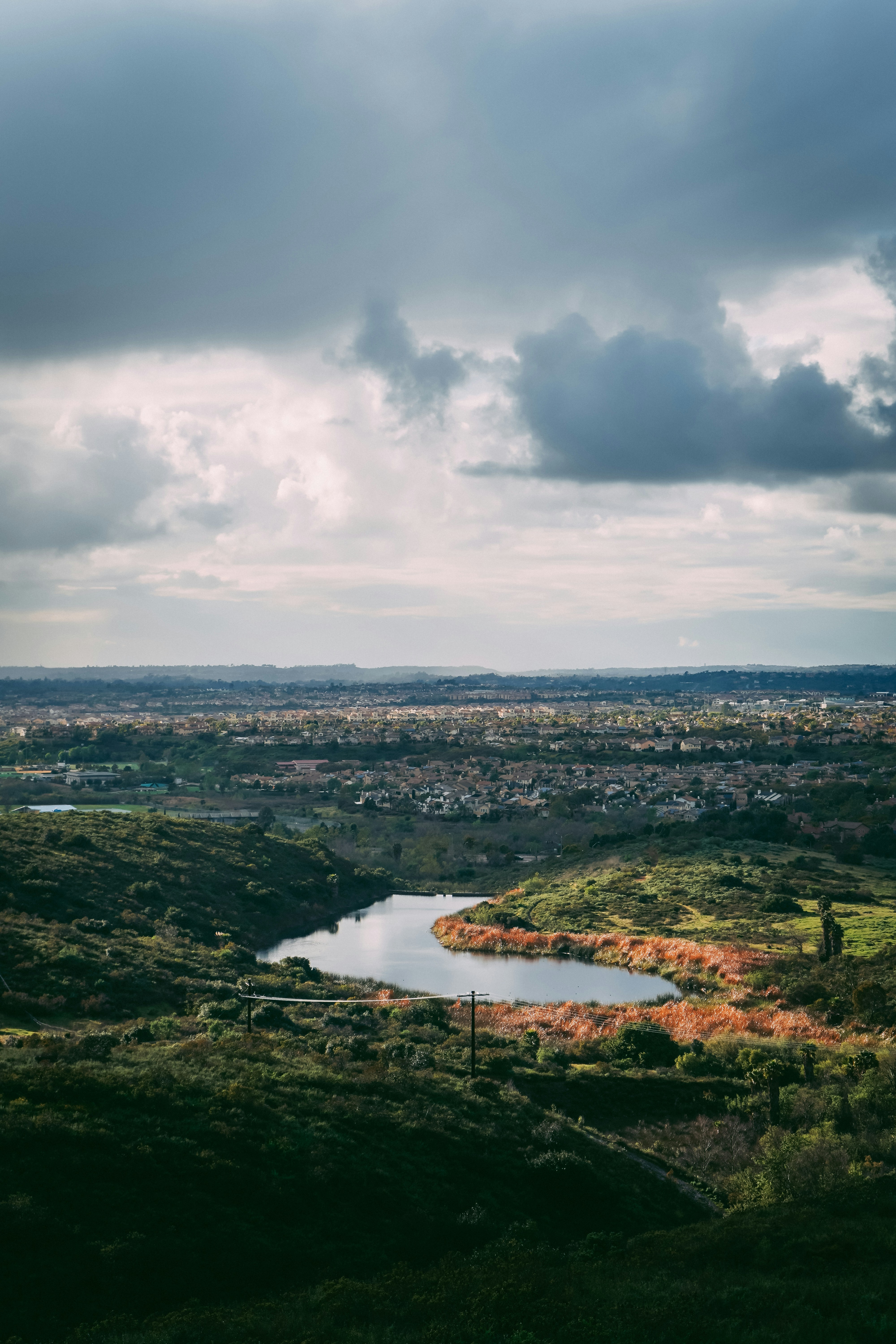 aerial view of green trees and river under cloudy sky during daytime