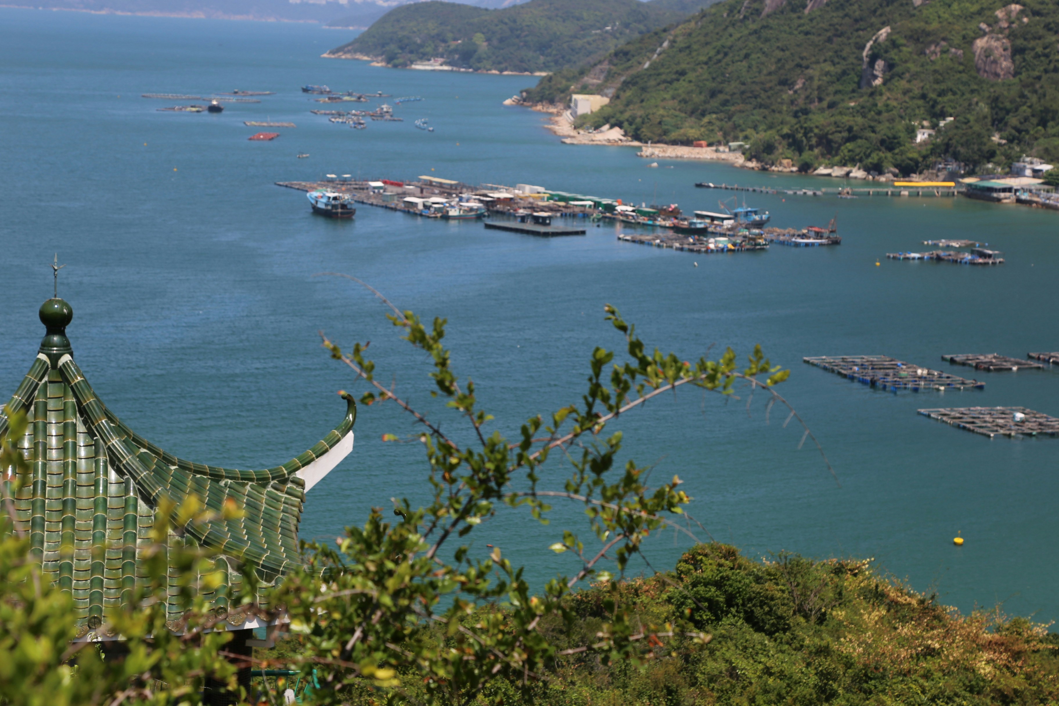 A vibrant coastal view showcasing floating fish farms and lush hills under a clear sky, framed by greenery in the foreground.