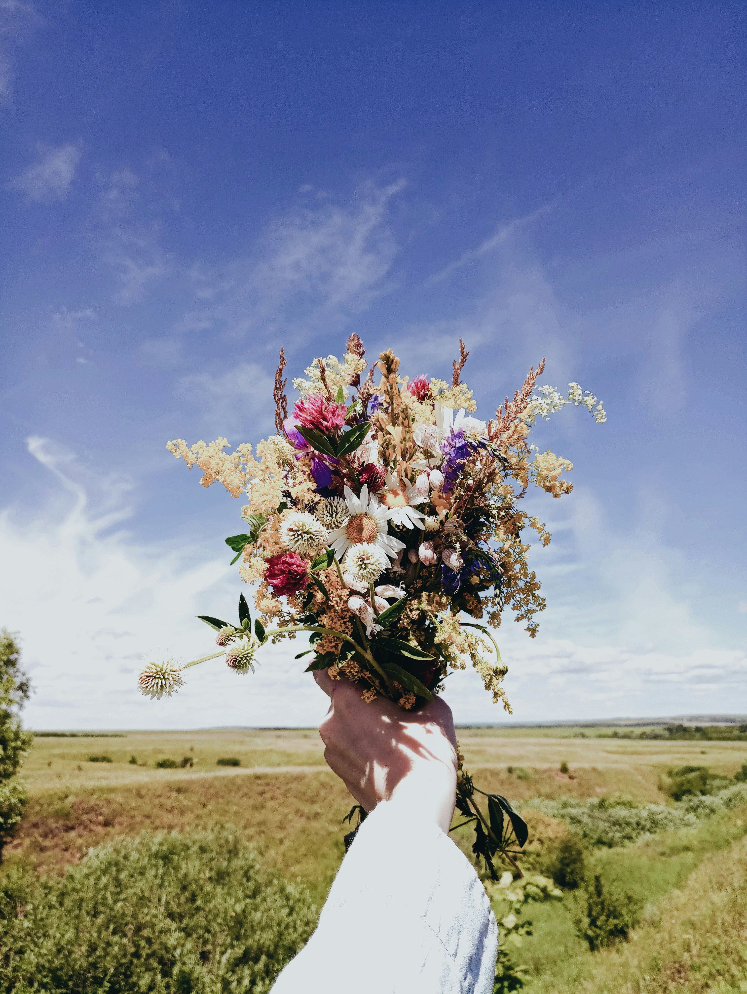 Prairie Bouquet: A Handheld Bloom Against the Wide Sky