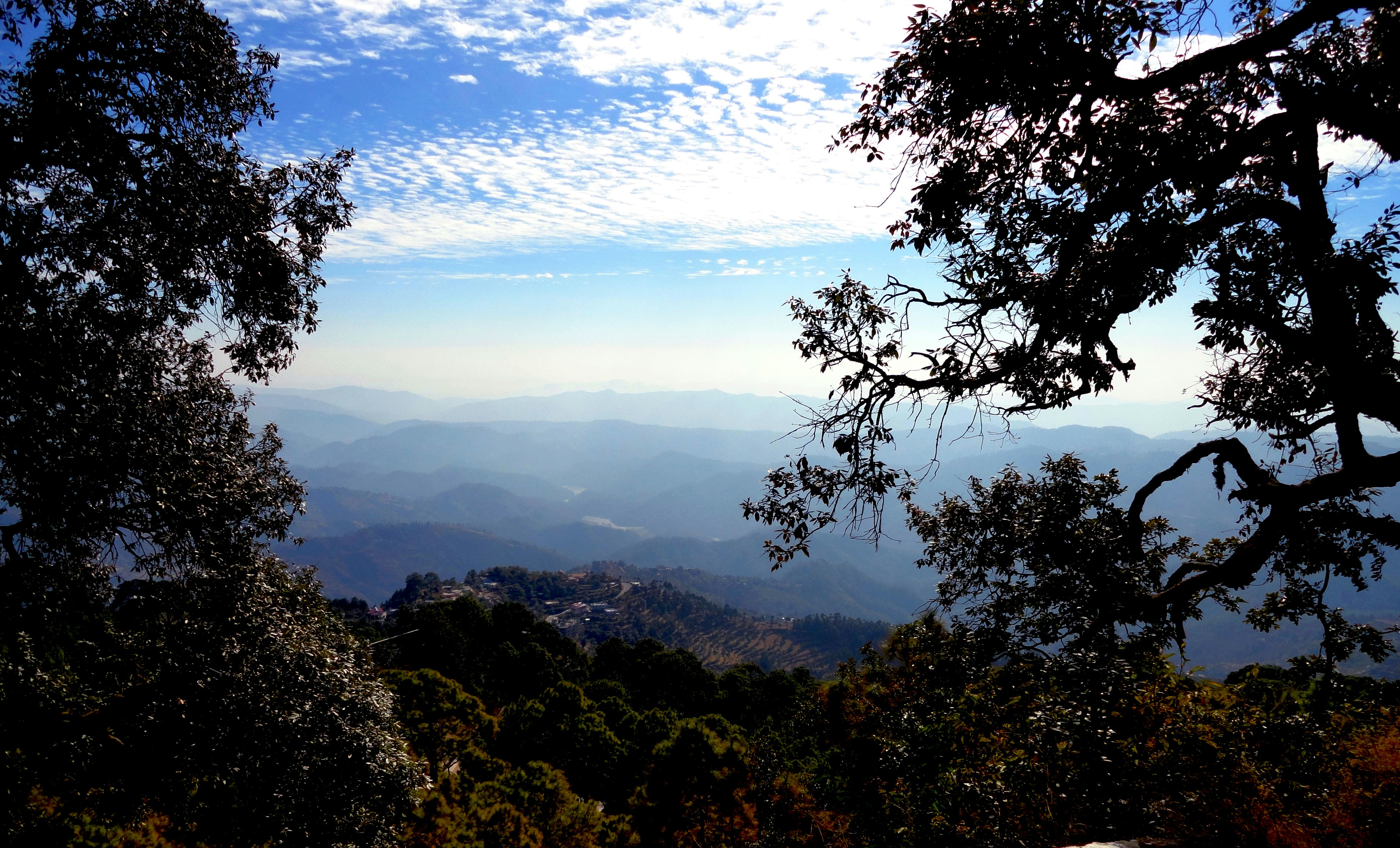 Green trees on mountain under blue sky during daytime photo – Free ...