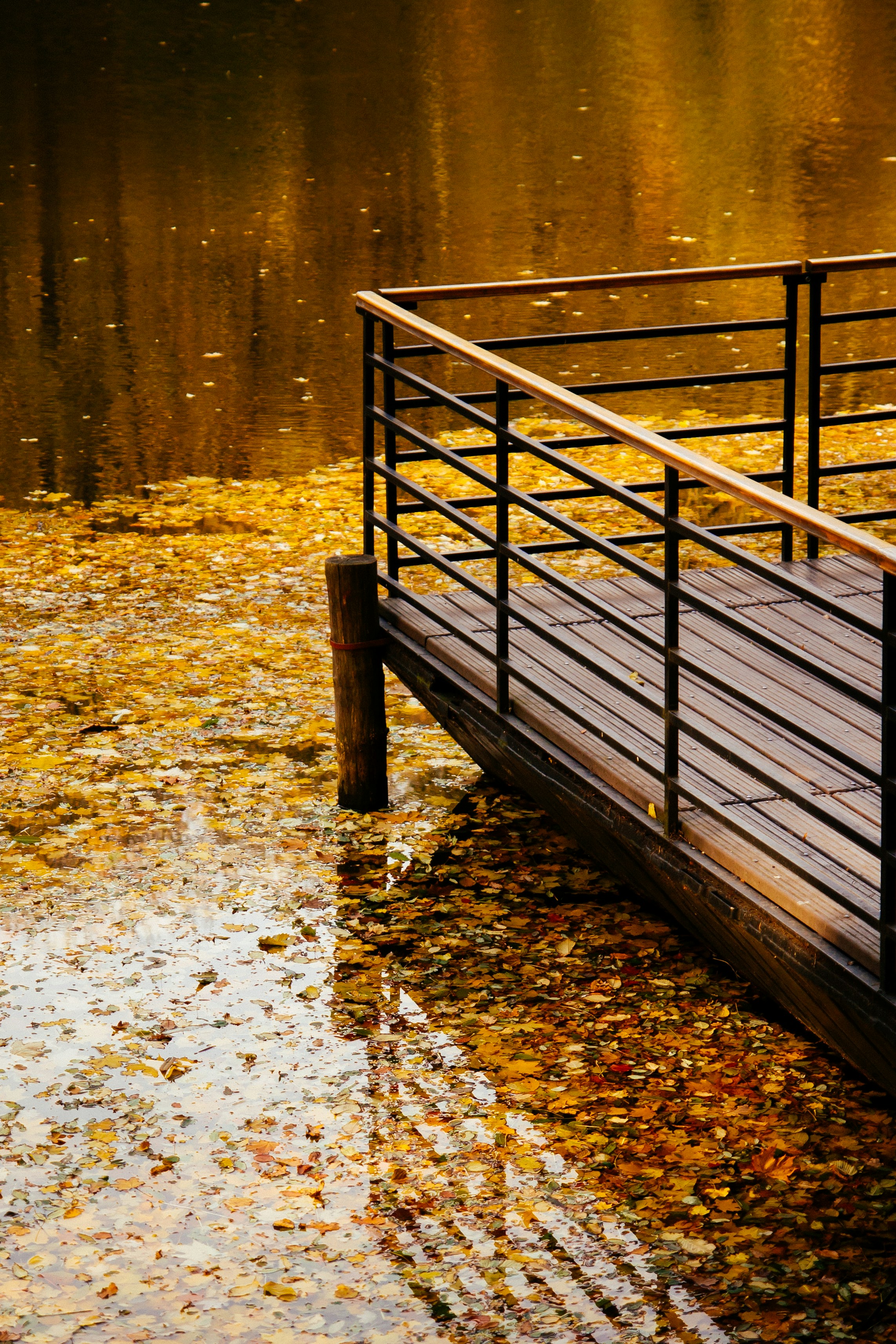 a wooden bridge over a body of water