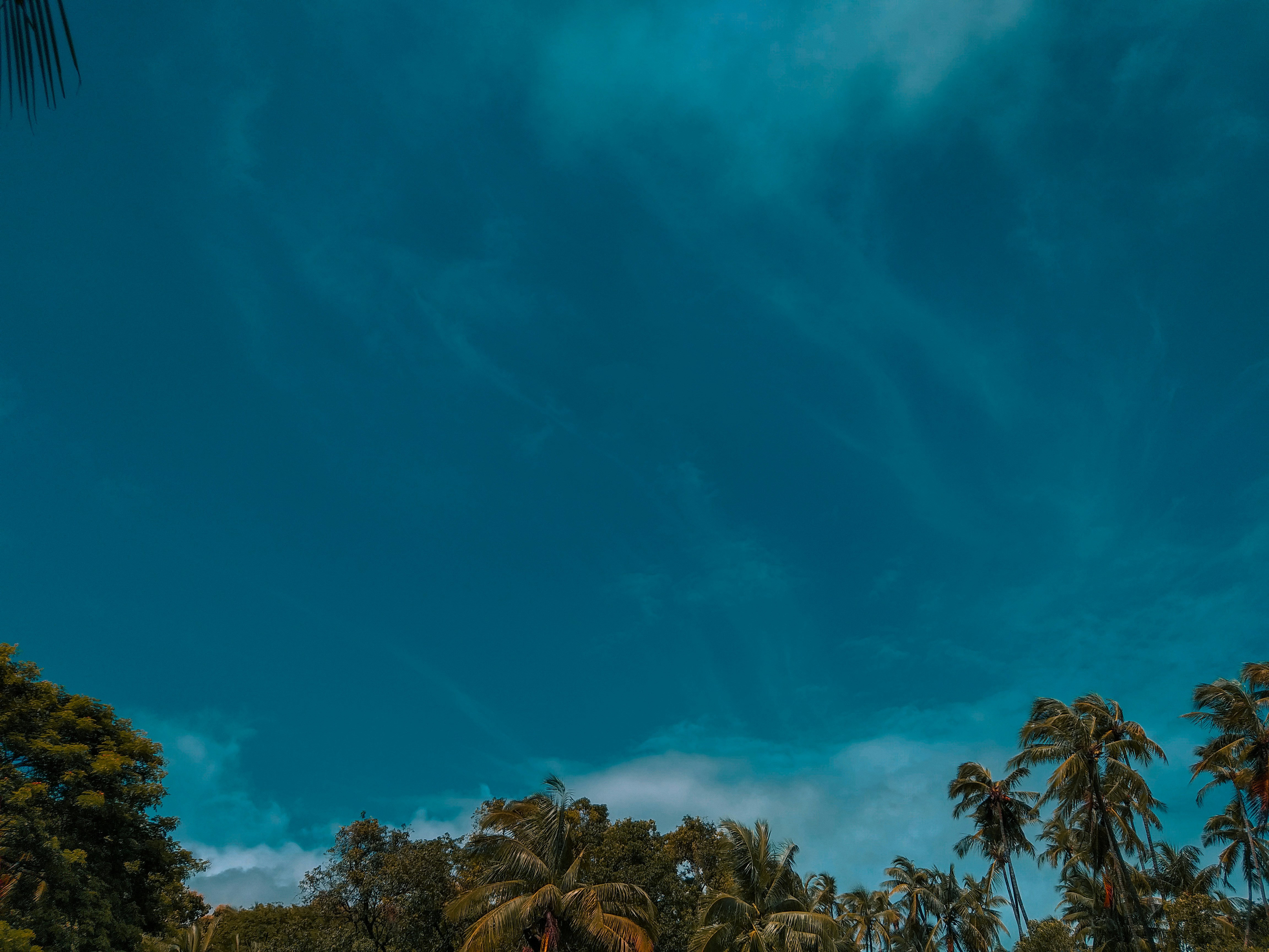 Sample photo from Samsung Galaxy J8