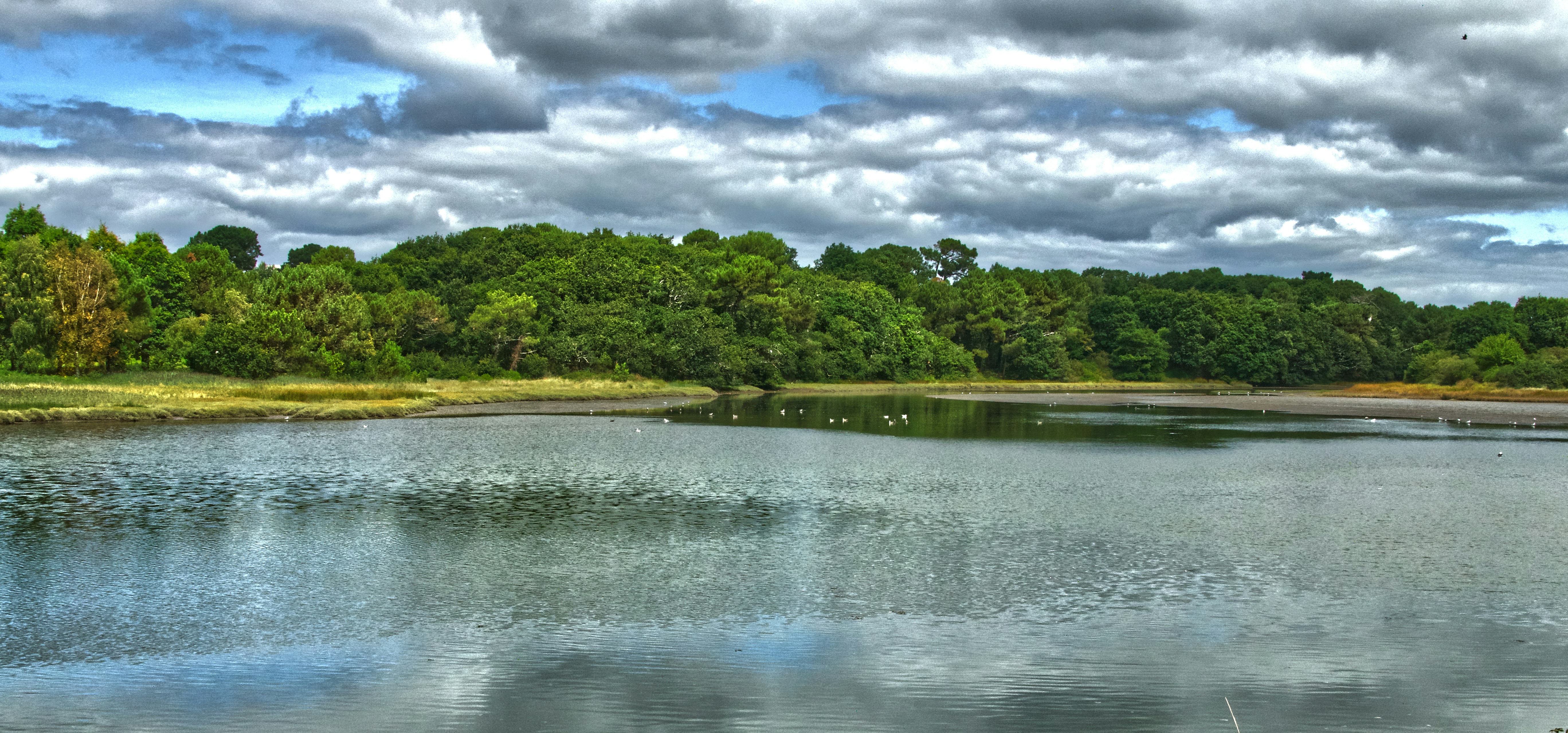 Serene river landscape under a cloud-dappled sky with lush green trees lining the water's edge.