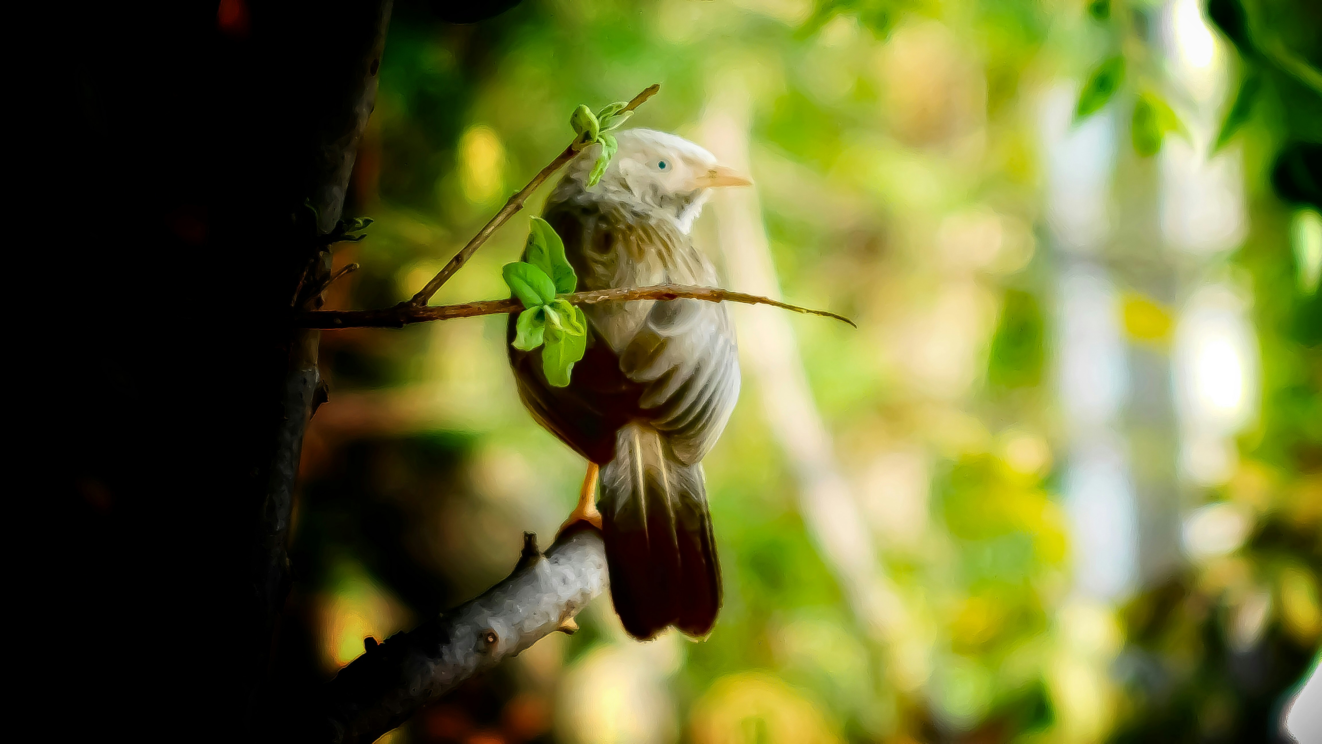 Perched Songbird in a Sunlit Foliage Window