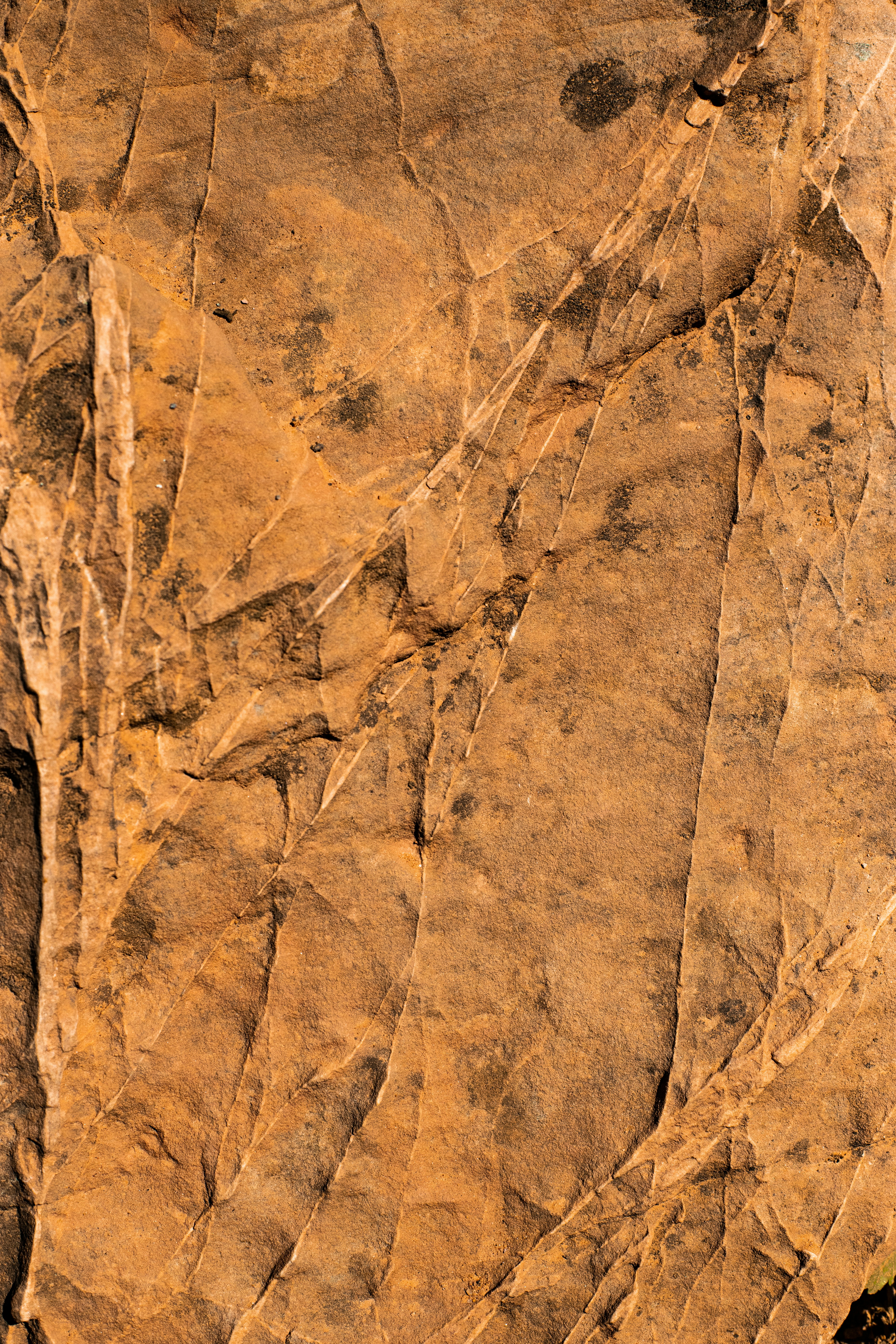 Intricate patterns and textures of weathered rock showcasing geological history and natural artistry.