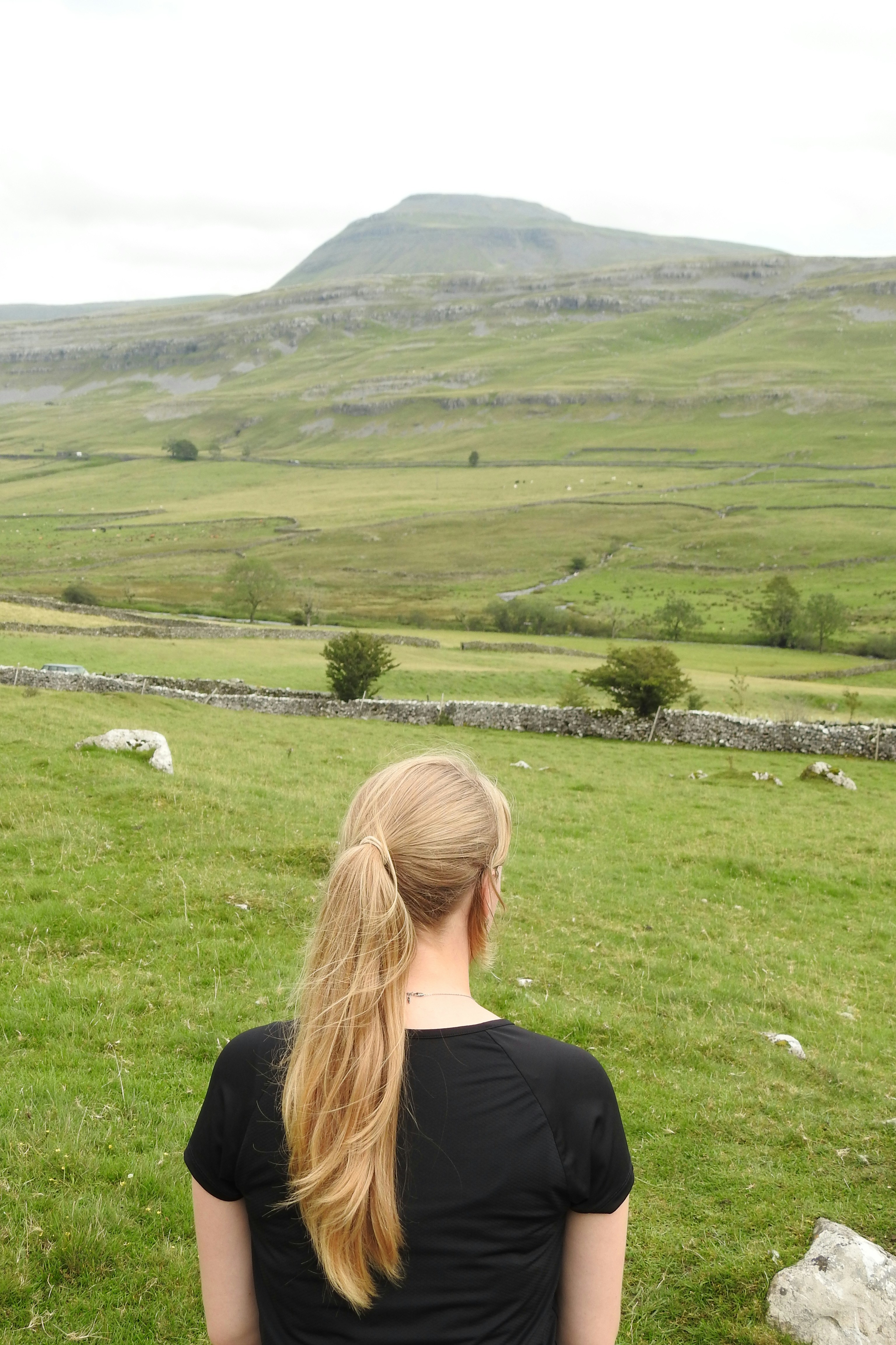Back view photograph of a woman with a blonde ponytail wearing a black top, standing in a green field beside a low stone wall. Distant rolling hills with a flat-topped summit rise on the horizon.