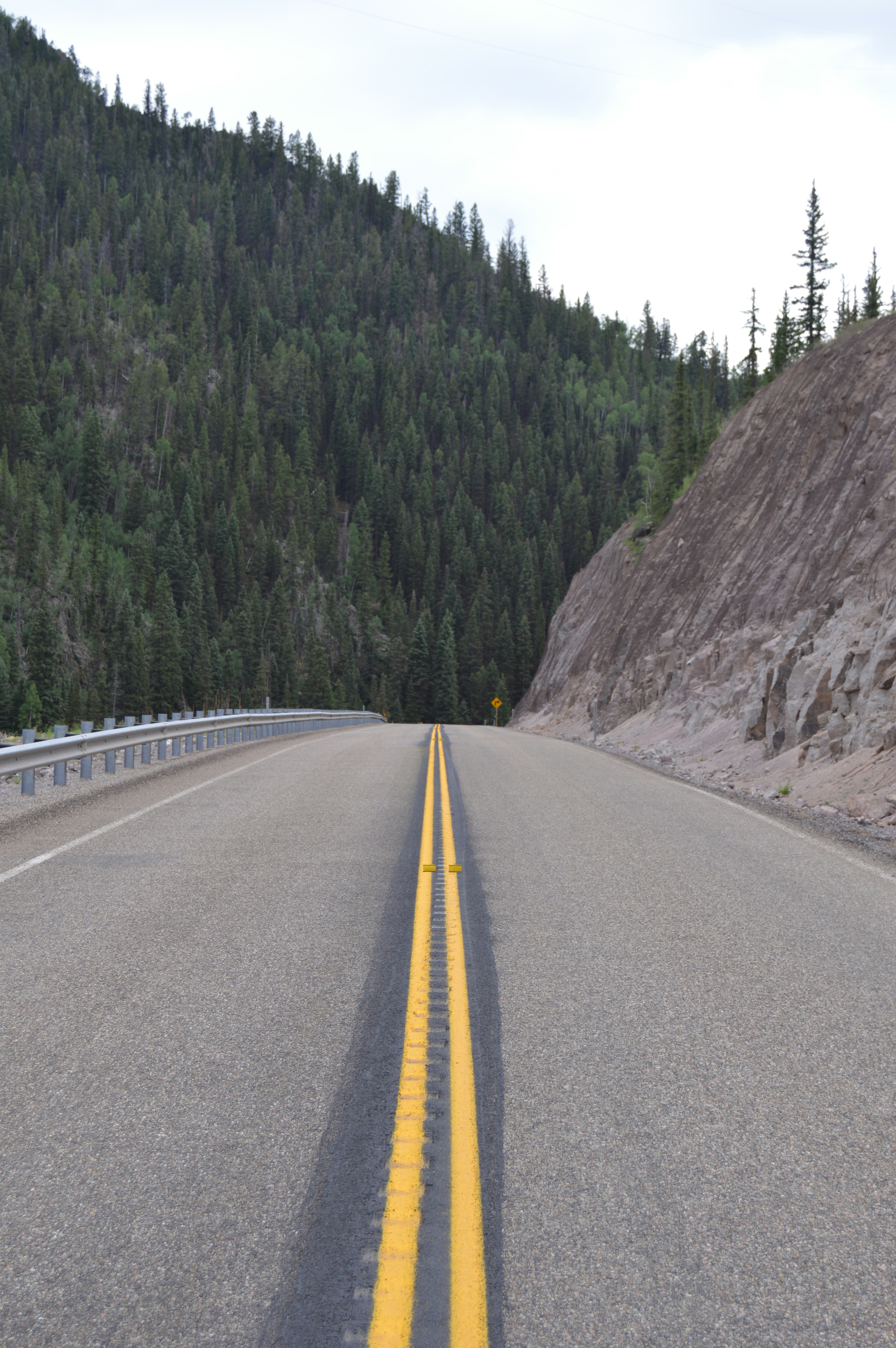 Gray concrete road between green trees during daytime photo – Free Grey ...