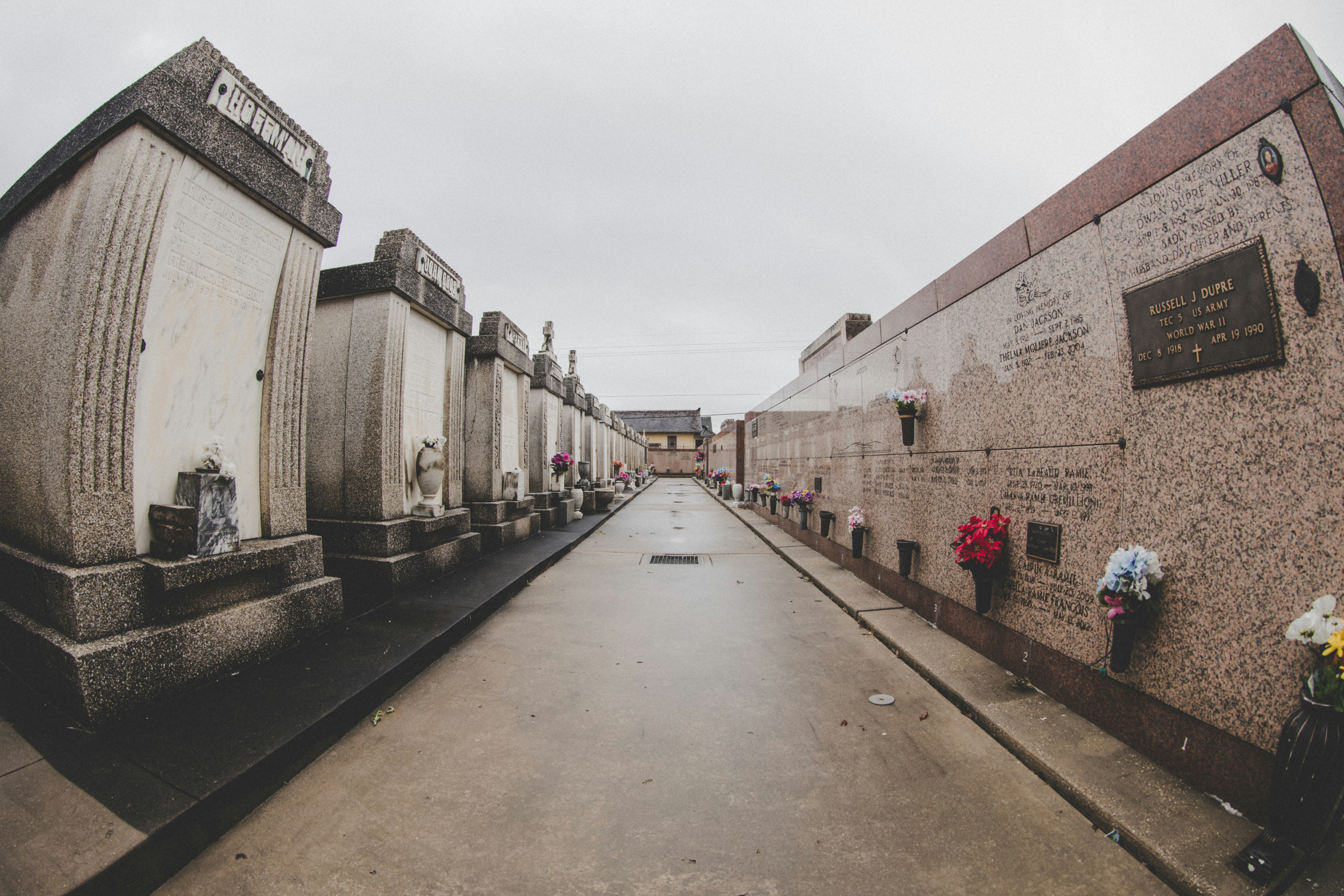 Aisle of Stones: Echoes Along a Weathered Cemetery Path
