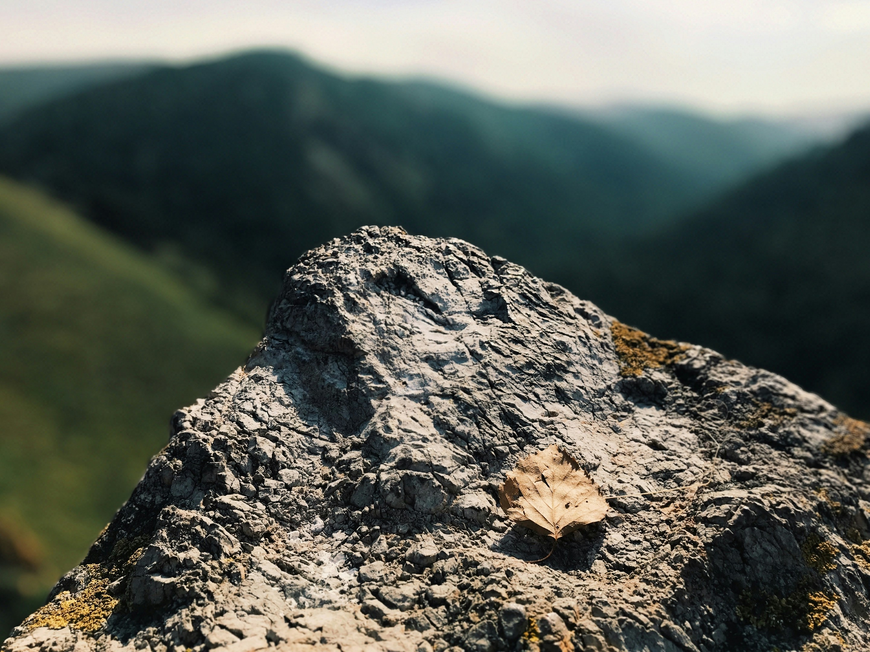 Close-up of a textured rock with a dried leaf resting on it, set against a blurred mountainous landscape in the background.