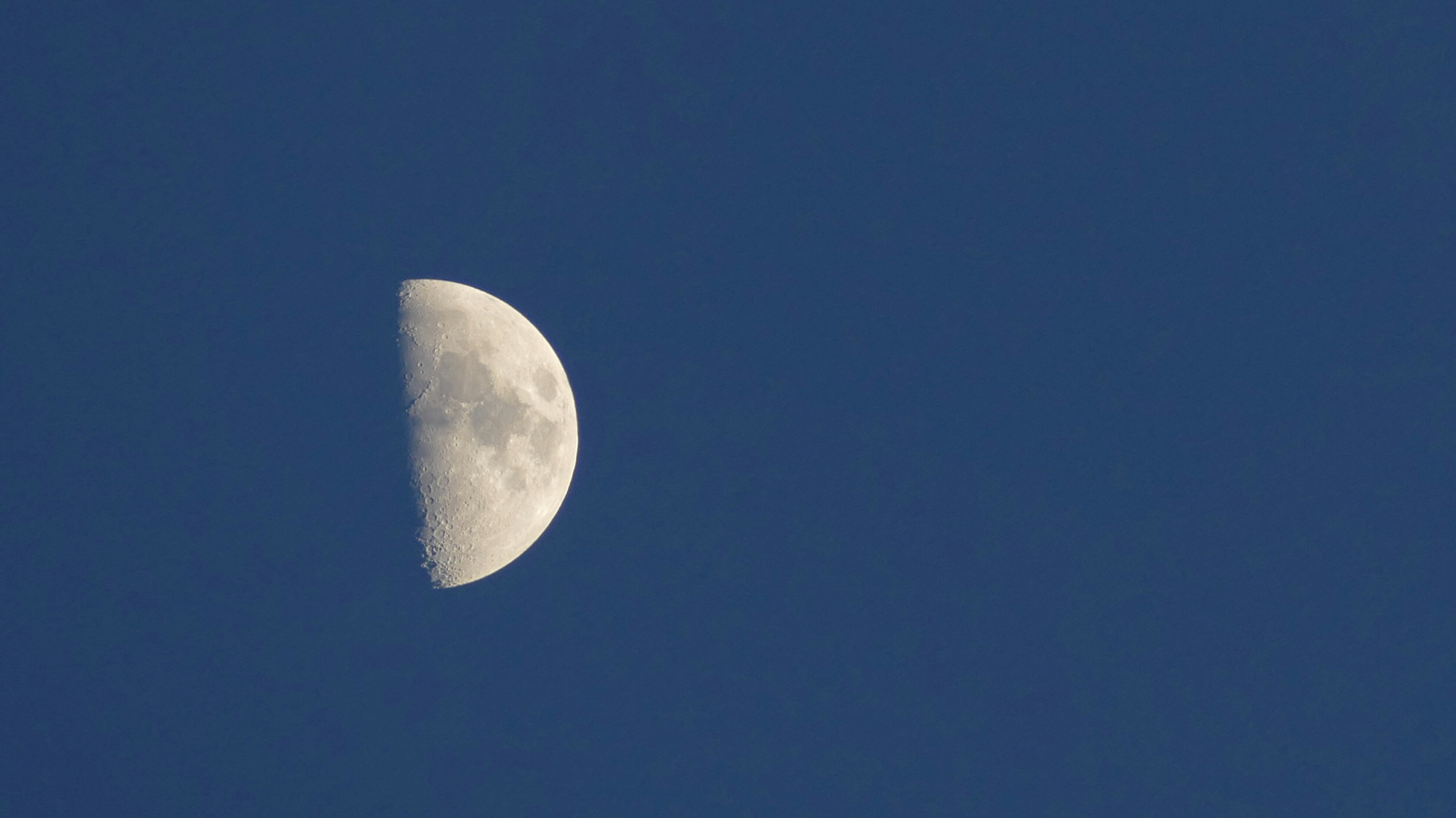 Half-moon illuminated against a deep blue sky, showcasing its craters and surface details. A serene celestial view.