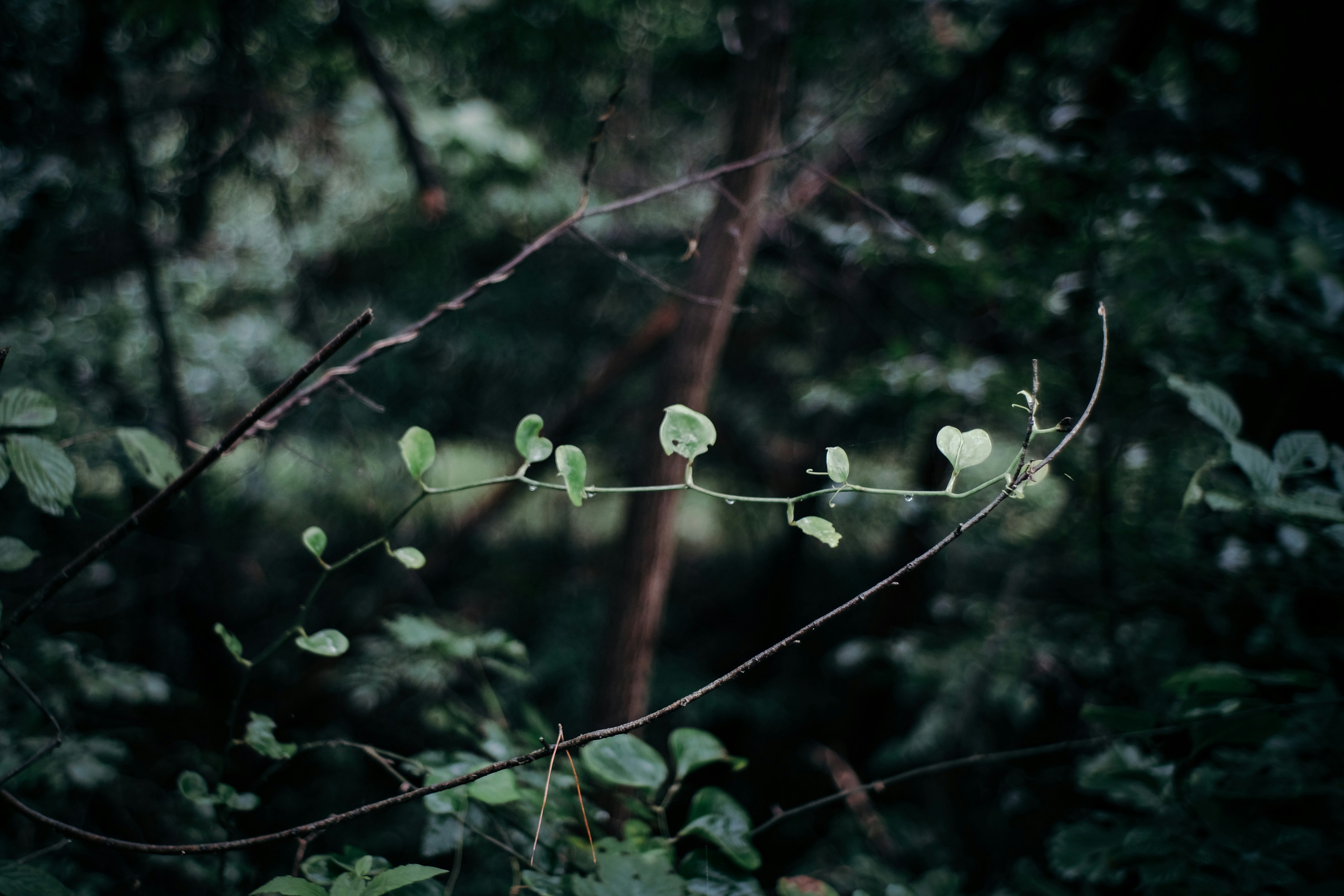 Photo by insung yoon with Fujifilm X-E3