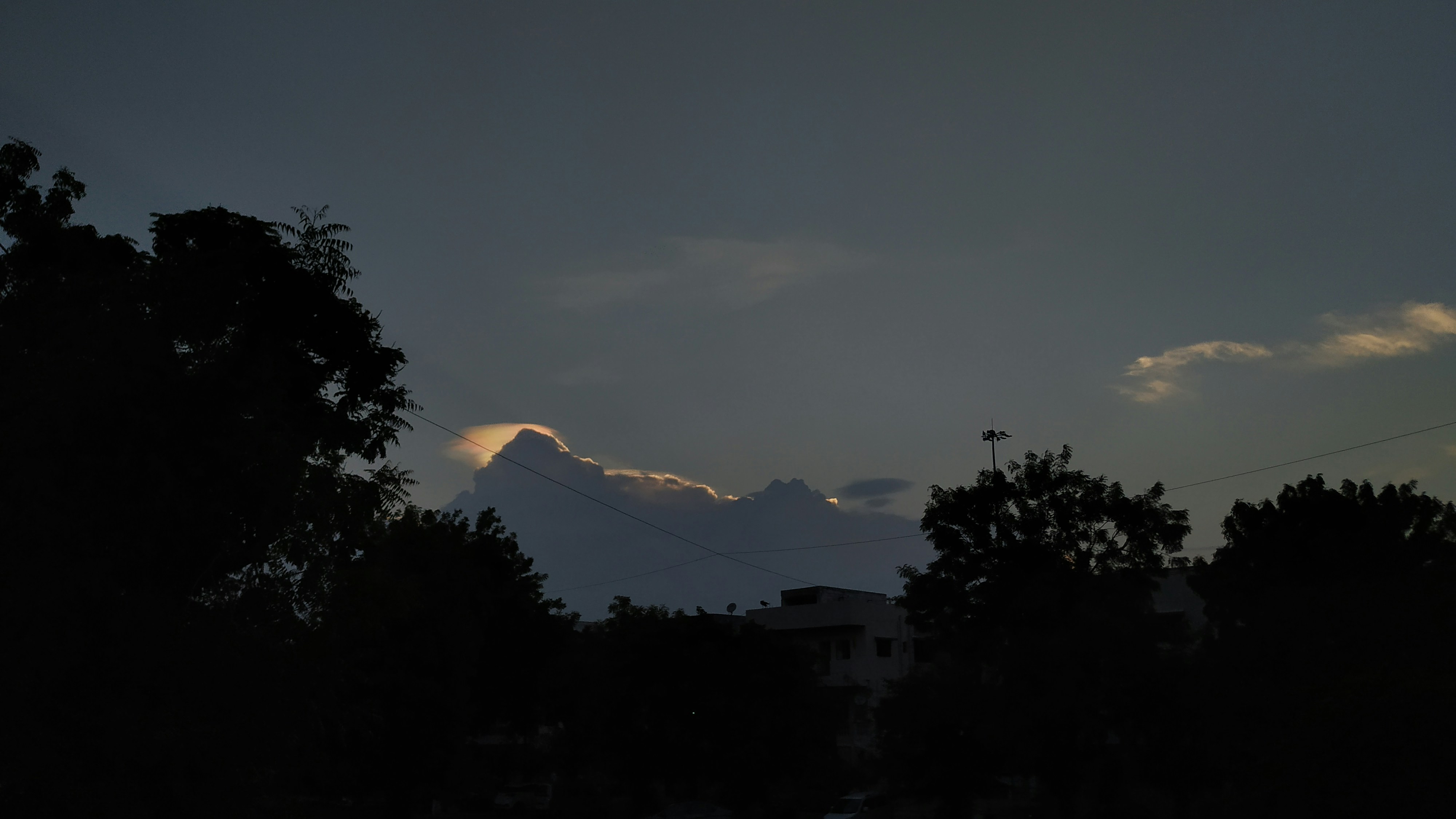 Silhouetted trees frame distant mountains against a twilight sky with subtle cloud highlights.