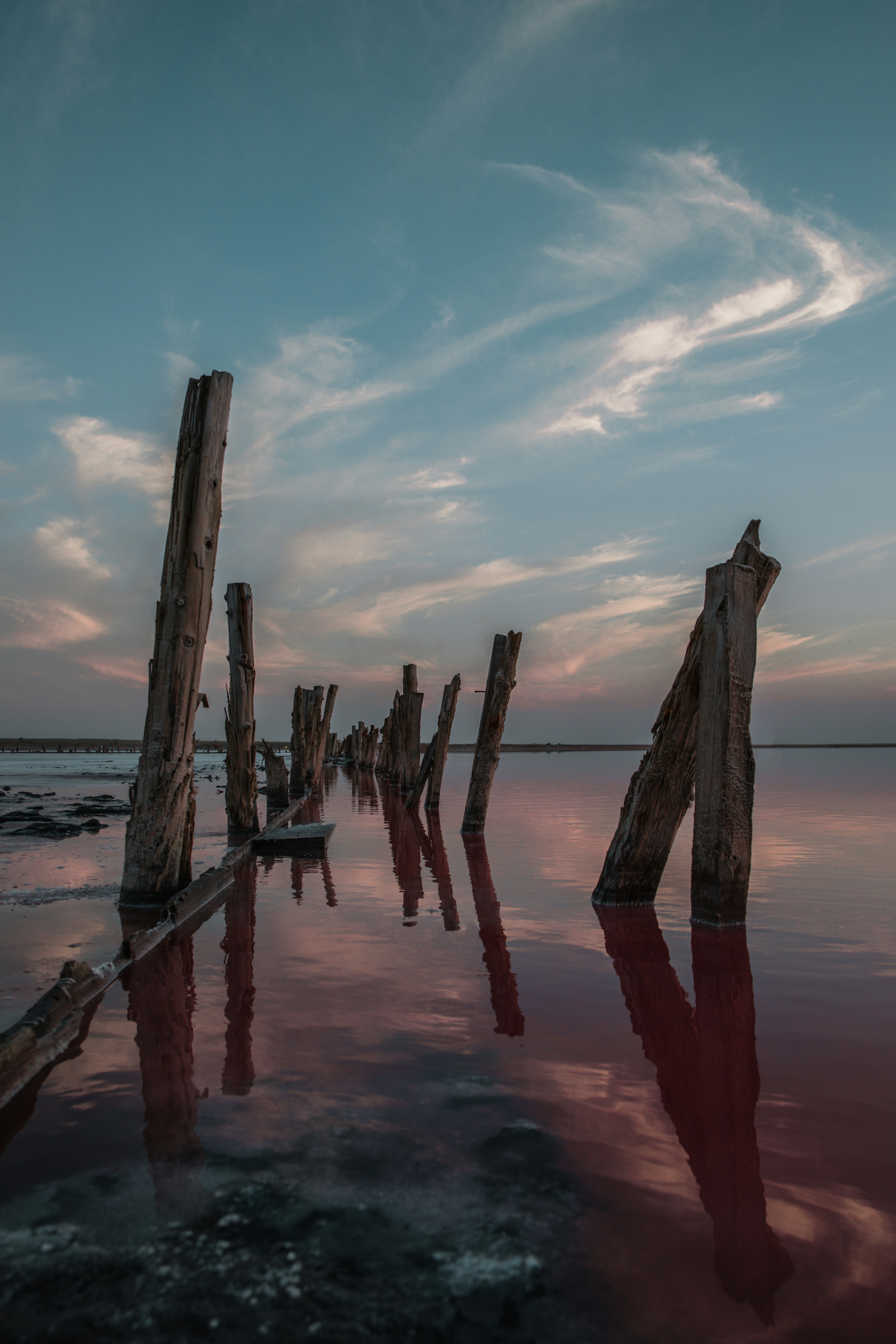 Tide-Worn sentinels: wooden pylons marching into pink twilight