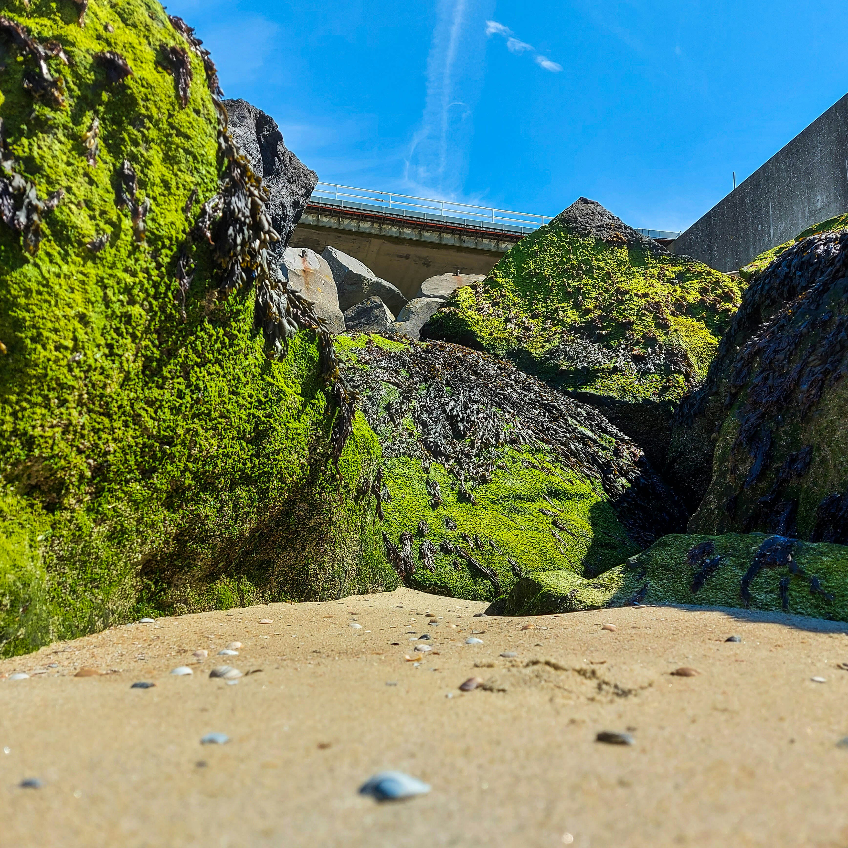 Vibrant green moss-covered rocks frame a sandy beach under a clear blue sky, highlighting the contrast between land and sea. A distant structure looms above the rocky foreground.