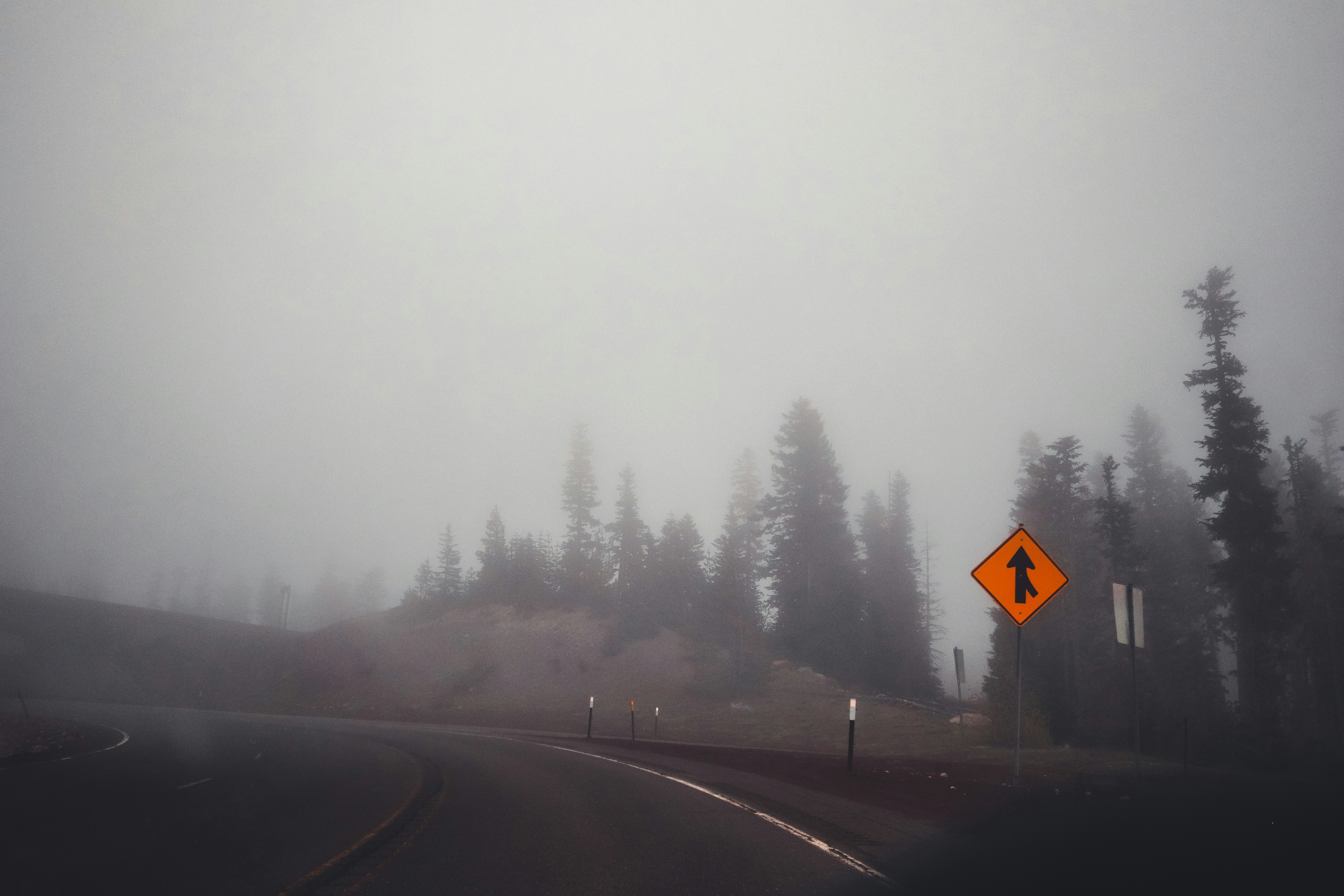 A winding road disappears into a dense fog, with a caution sign warning of pedestrian activity. Tall trees loom in the background, adding to the mysterious atmosphere.