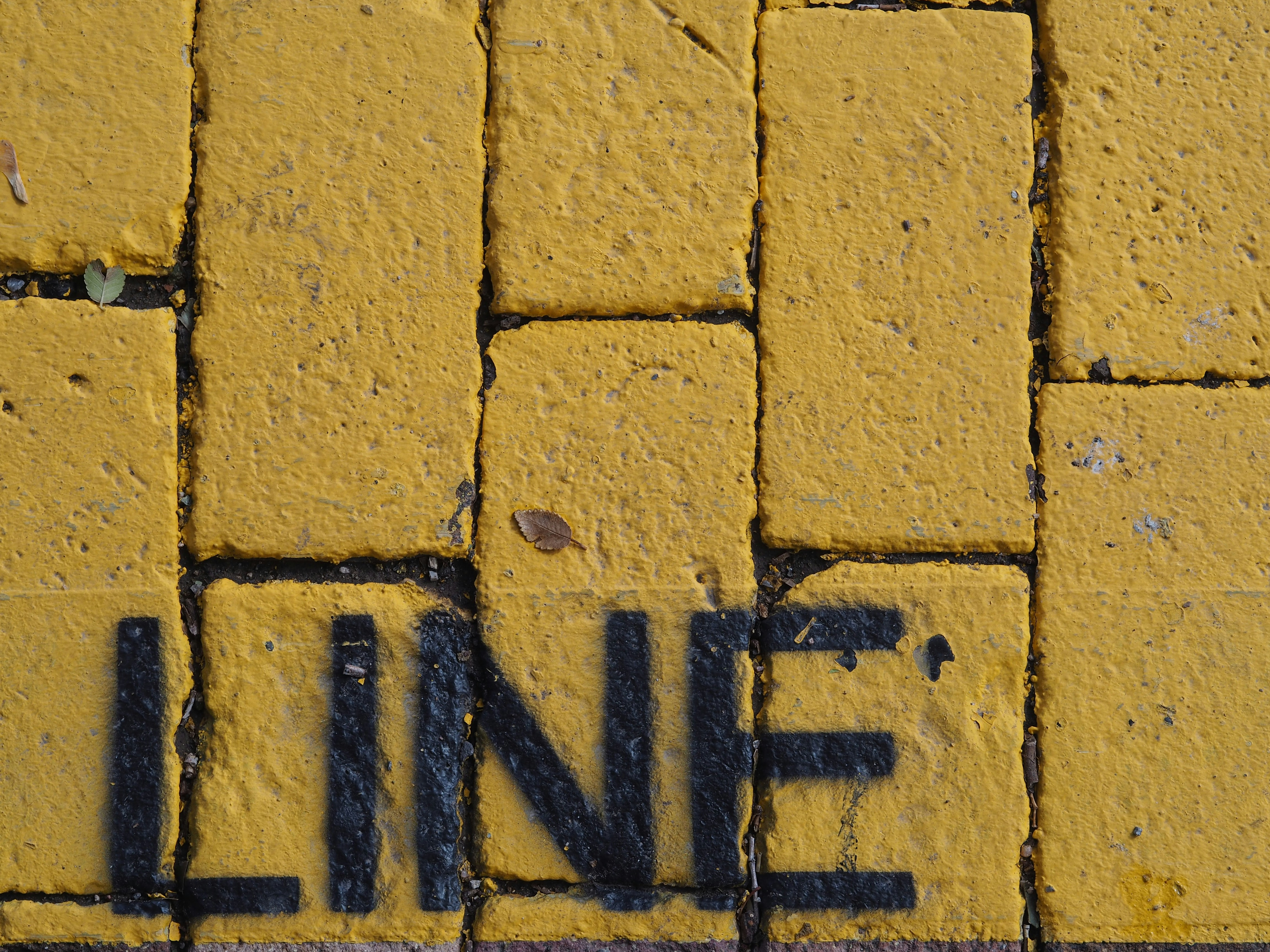 Black text reading 'LINE' painted on a bright yellow brick surface, with scattered leaves adding texture.